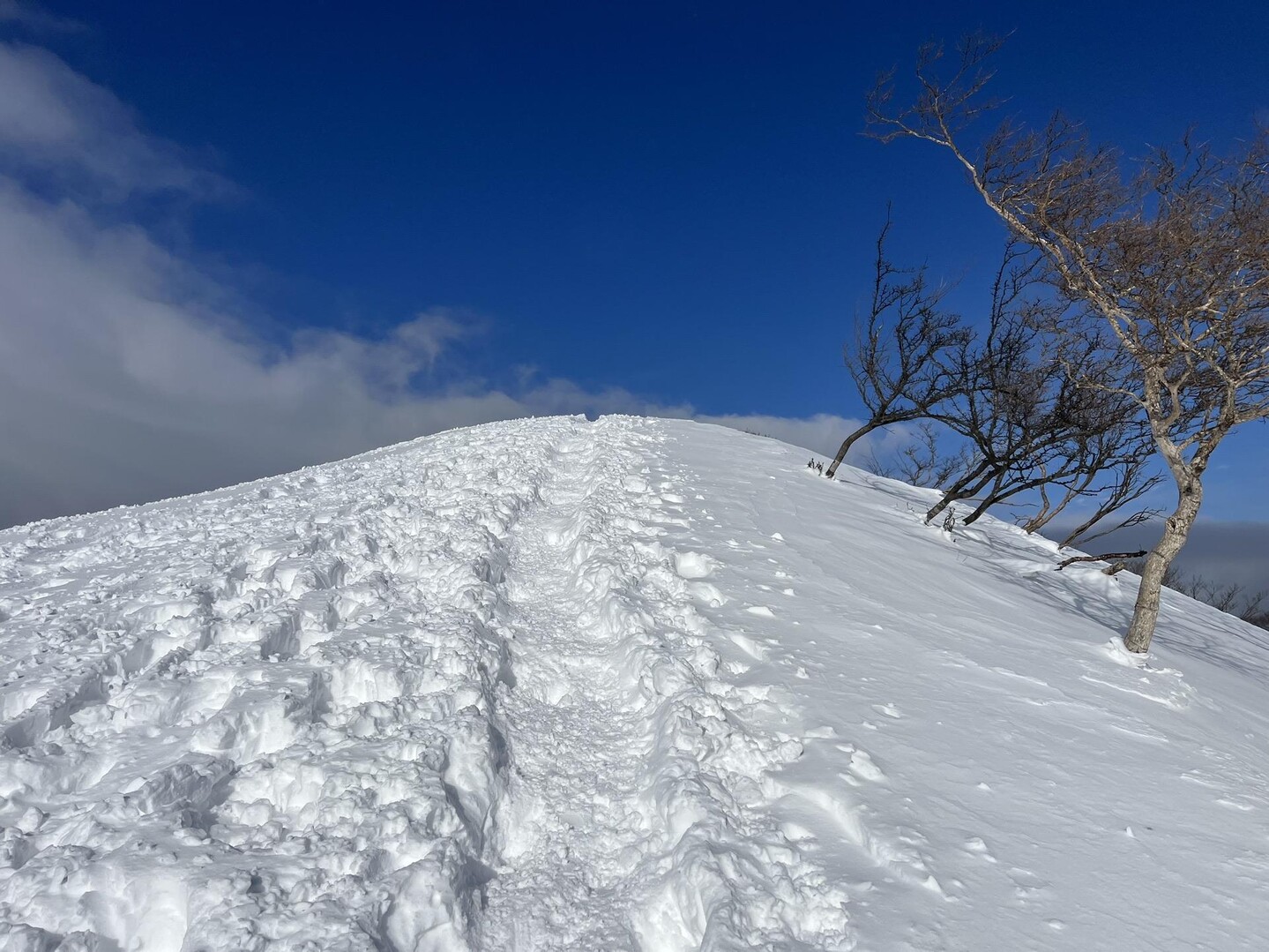 竜ヶ岳 / yo-suke 925さんの竜ヶ岳の活動データ | YAMAP / ヤマップ