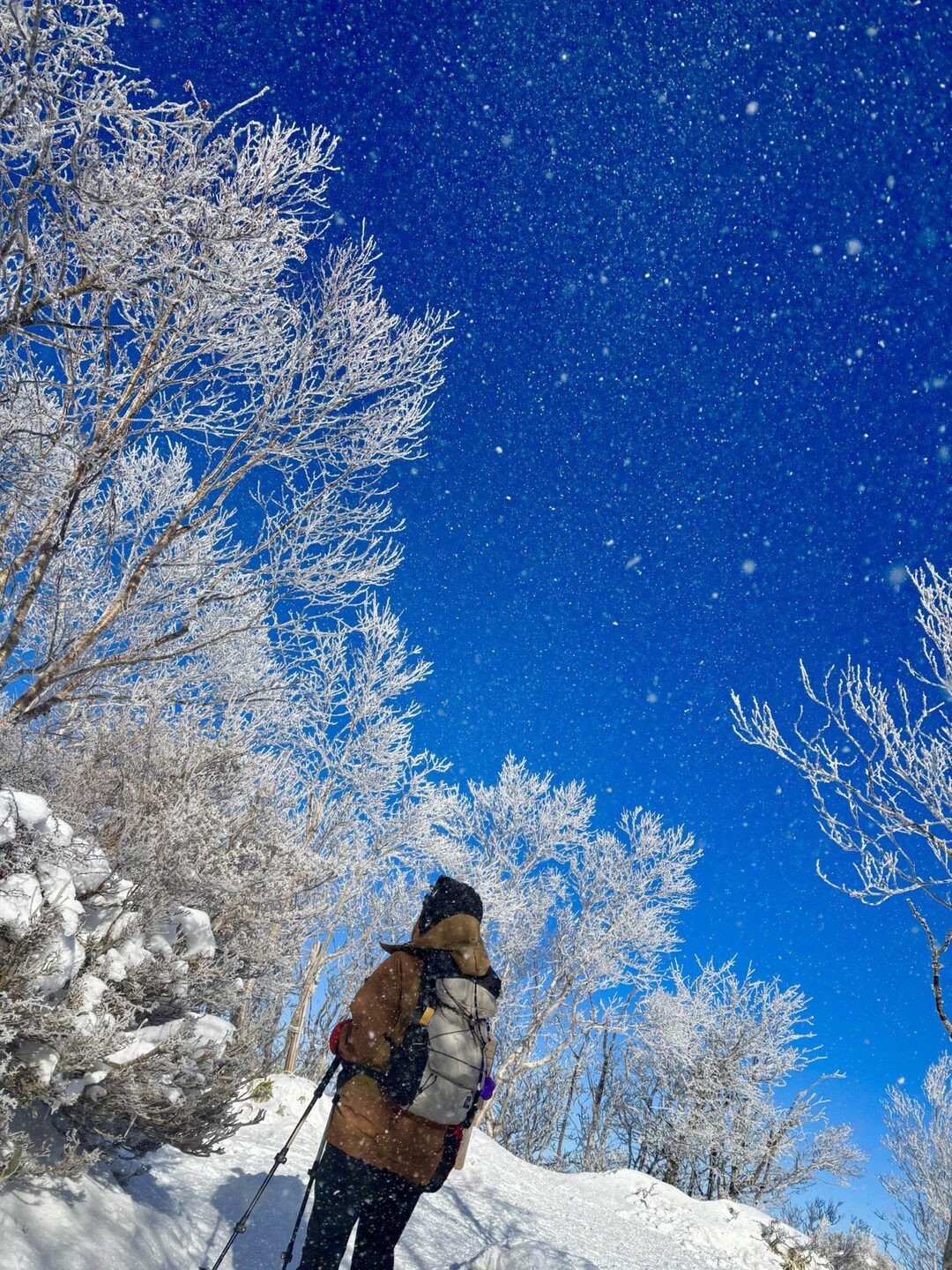 綺麗な蒼に( ˊ͈ ˙̫ ˋ͈ )💙 / miiさんの赤城山・黒檜山・荒山の活動データ | YAMAP / ヤマップ