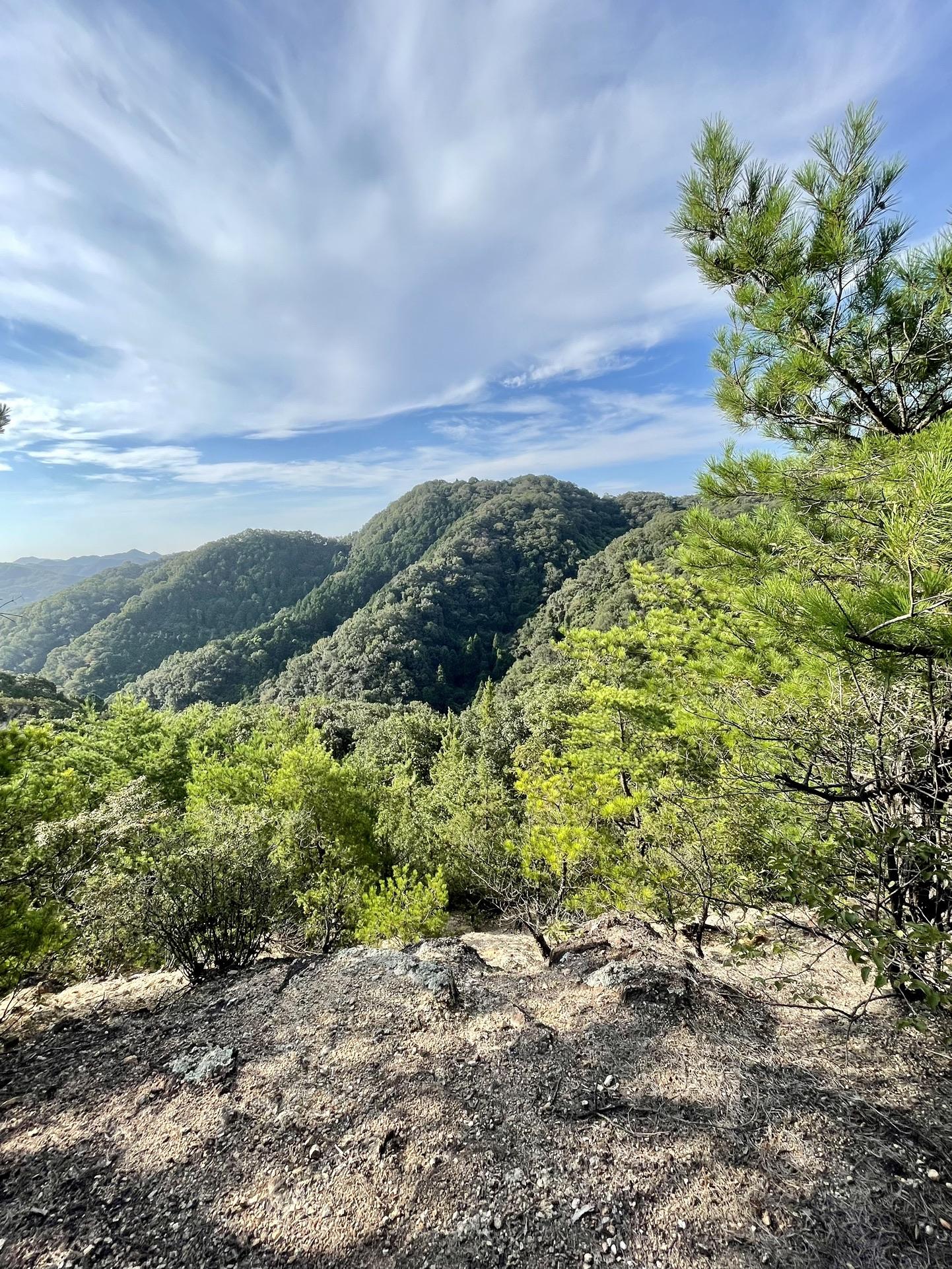 東の山・藤ノ木山 / Mountain Goatさんの加西アルプス・笠松山・善防山の活動データ | YAMAP / ヤマップ