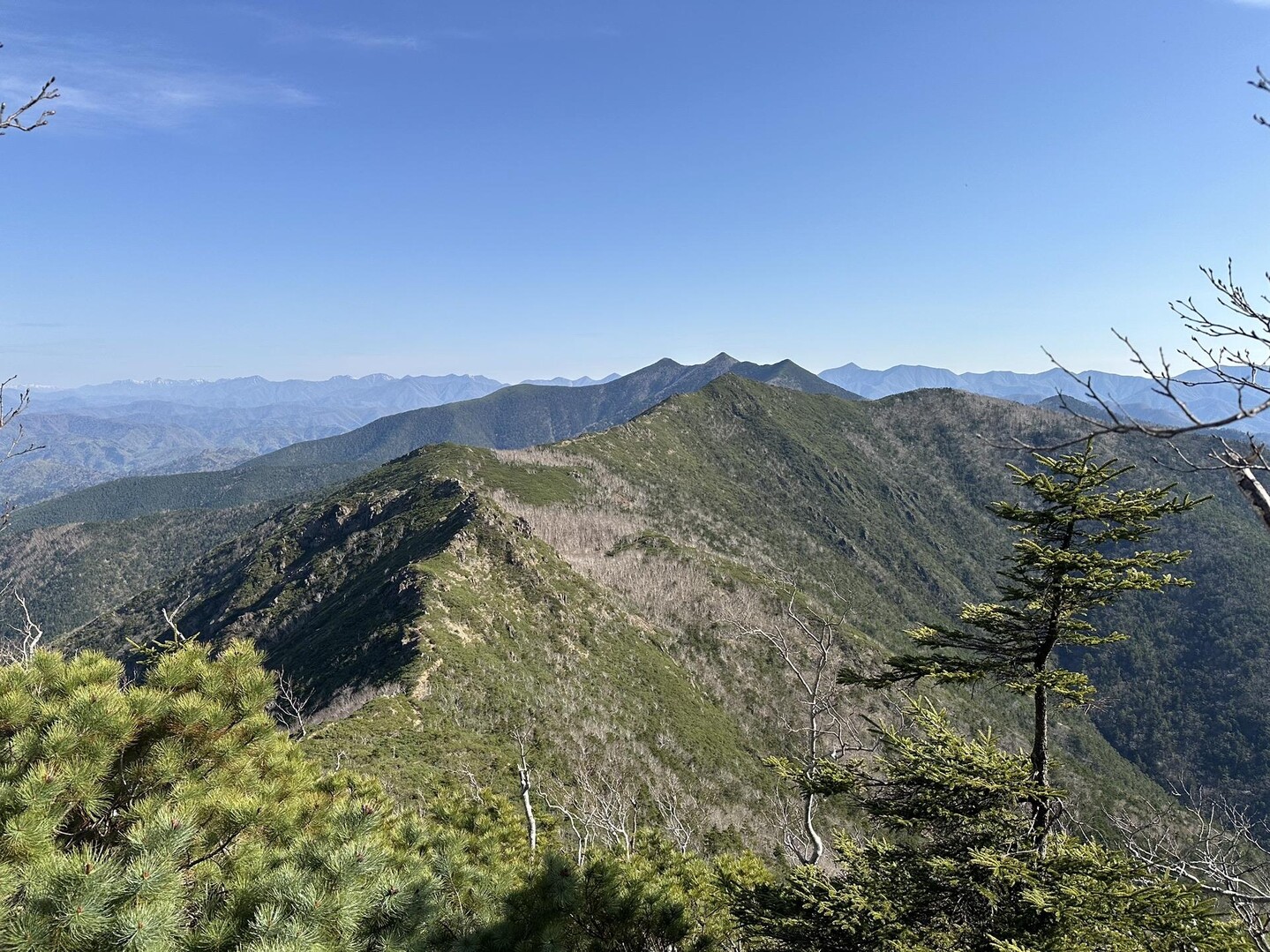 アポイ岳・吉田岳・ピンネシリ / akira bestさんのアポイ岳の活動データ | YAMAP / ヤマップ