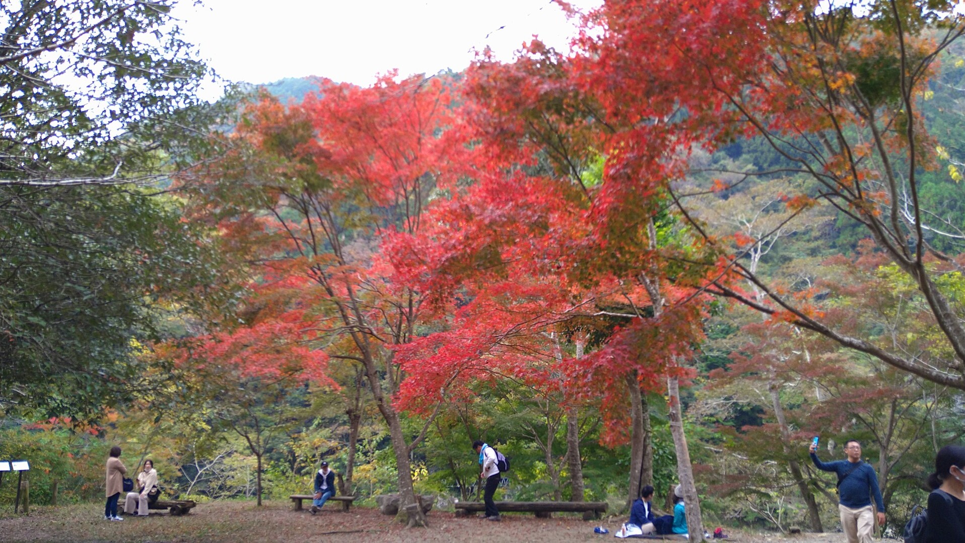 JR福知山線廃線跡ウォーキング / namgiさんのウォーキングの活動データ | YAMAP / ヤマップ
