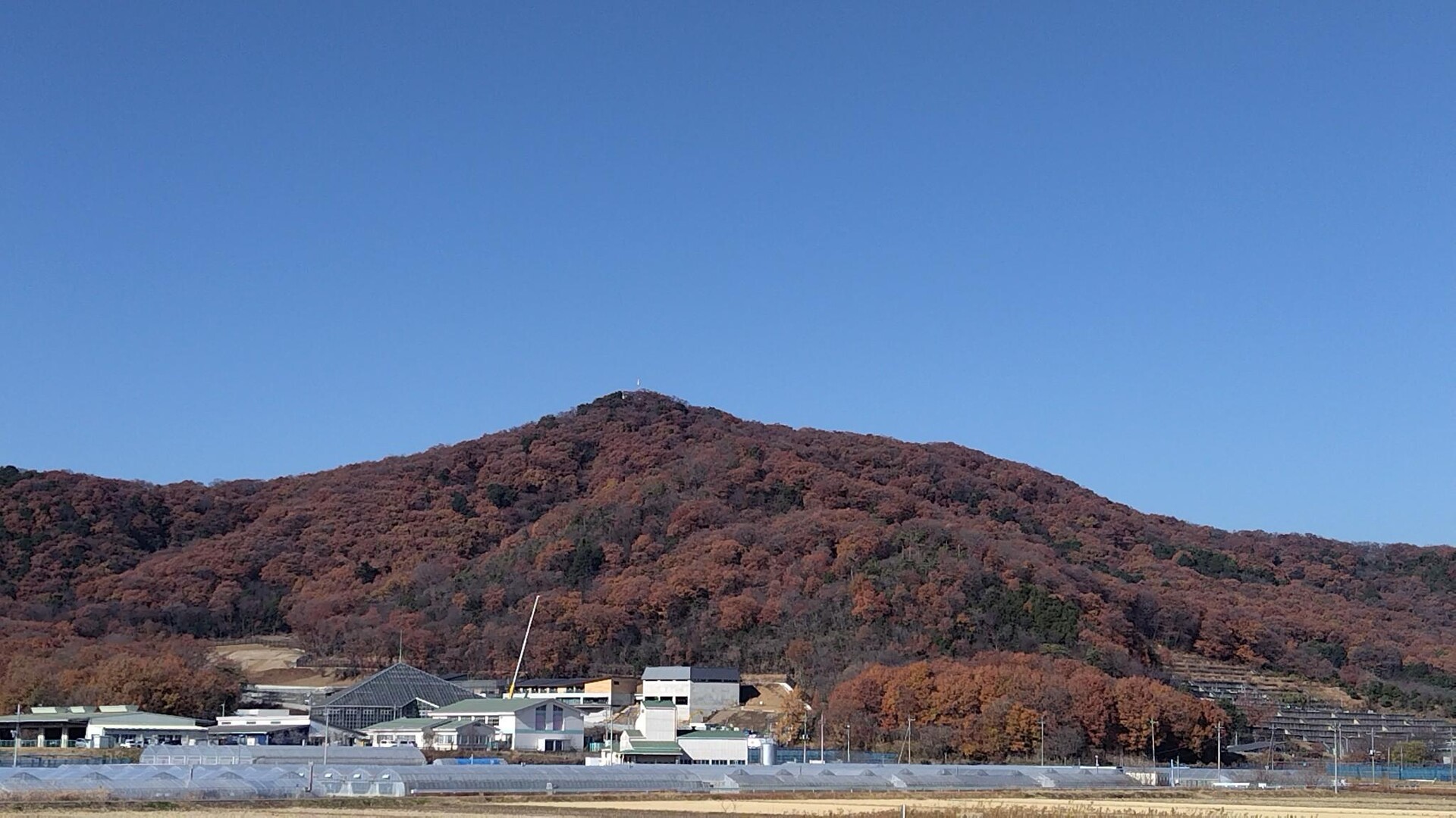 中岳・三毳山（青竜ヶ岳） / riko** ☪さんの三毳山の活動データ | YAMAP / ヤマップ