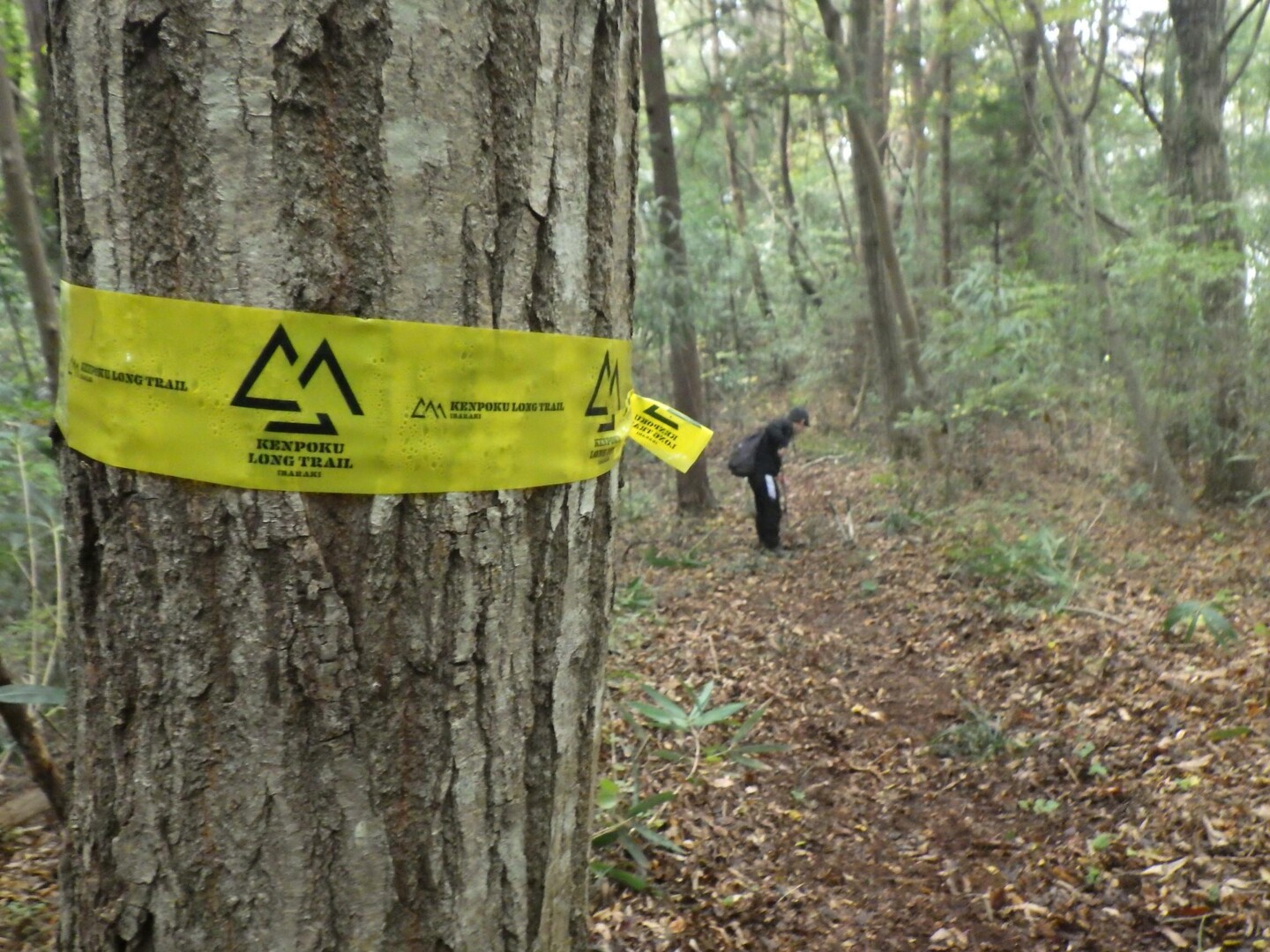 茨城県北ロングトレイルから常陸国ロングト... / RYUICHIさんのモーメント | YAMAP / ヤマップ
