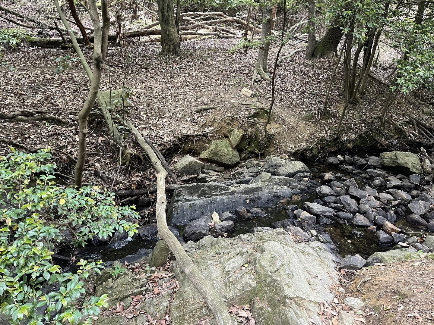 greenmoonきくちゃんさんの投稿したフィールドメモ | YAMAP / ヤマップ