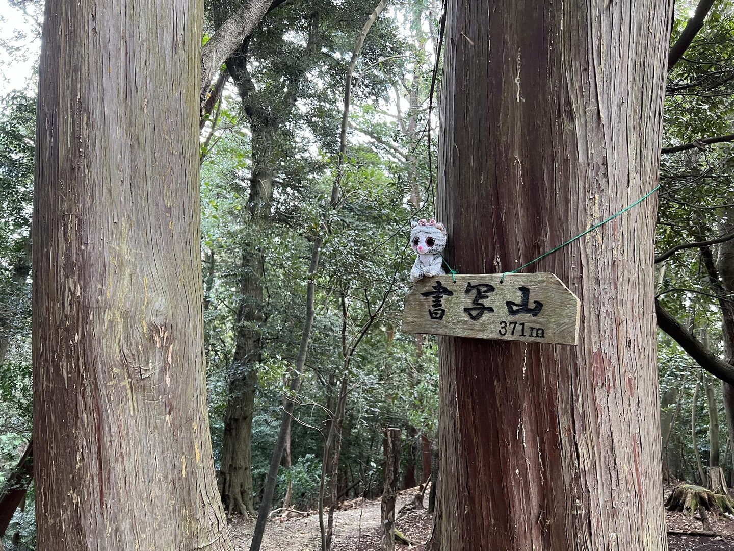 書写山 / ISSEIさんの書写山・伊勢山・とんがり山の活動データ | YAMAP / ヤマップ