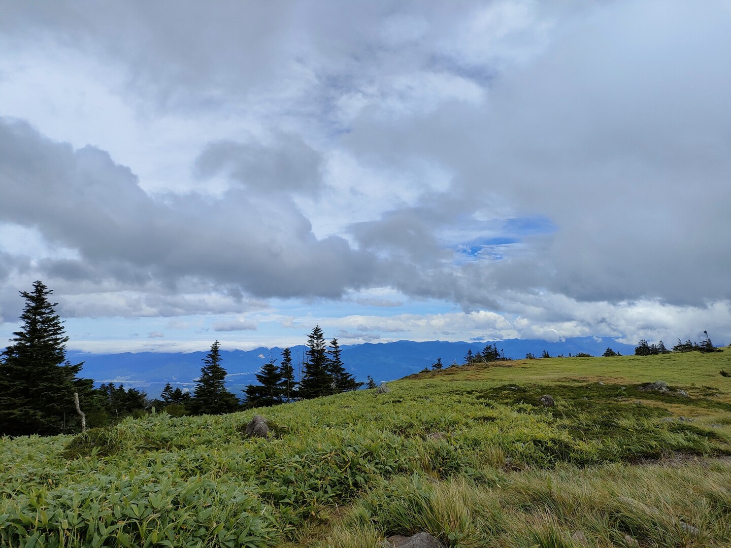 登山-2022-08-31 / JICKさんの登山の活動データ | YAMAP / ヤマップ