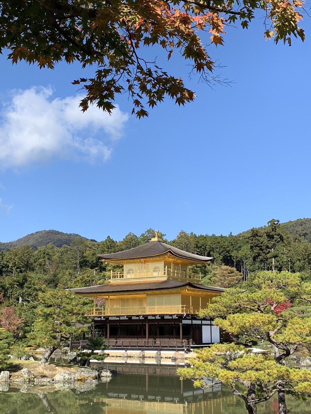 紅葉🍁三昧で大満足な京都旅 / まさりんさんのモーメント | YAMAP / ヤマップ
