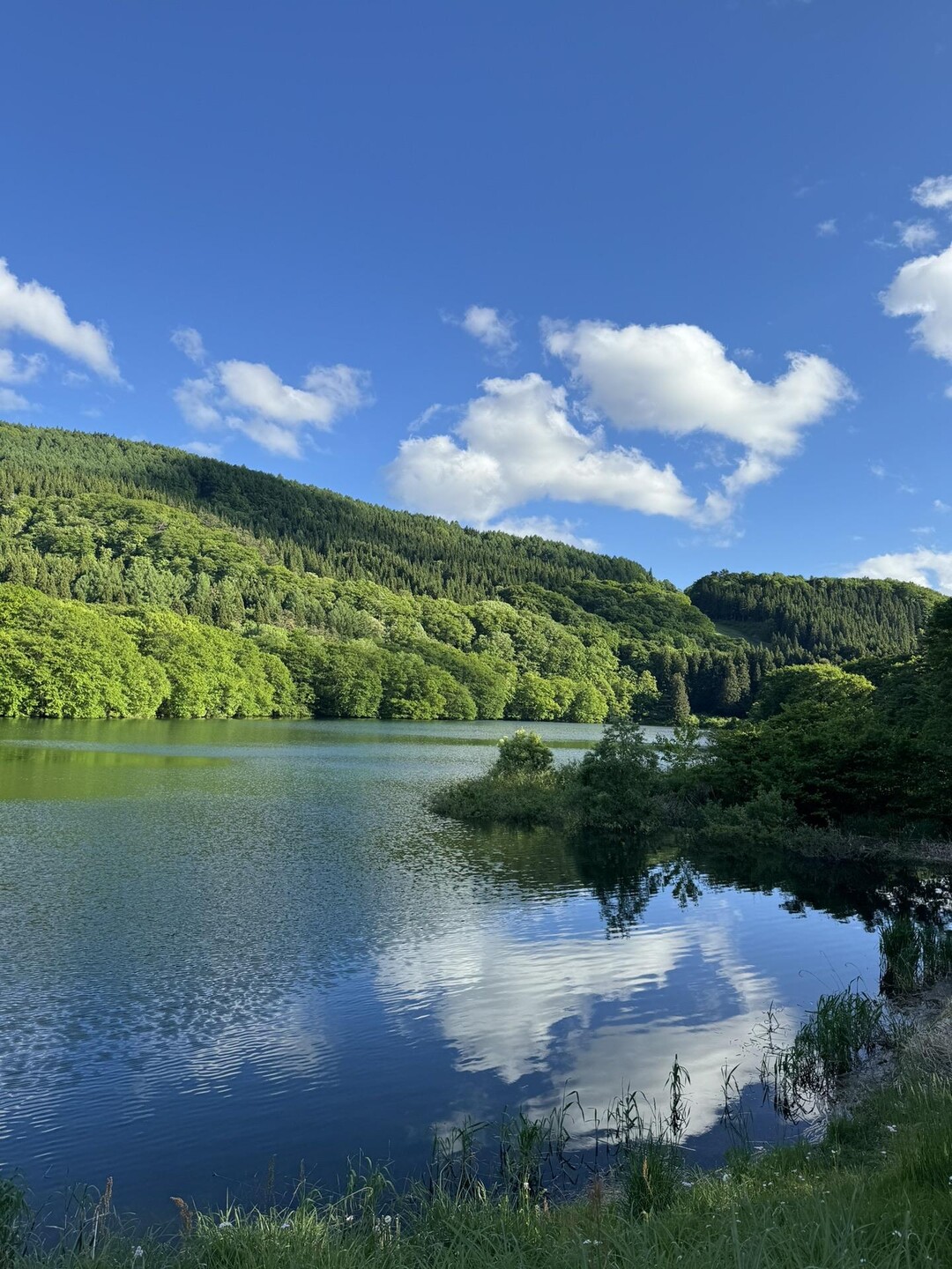 鴫の谷地沼 新緑リフレクション / YOKOさんの蔵王山・雁戸山・不忘山の活動データ | YAMAP / ヤマップ