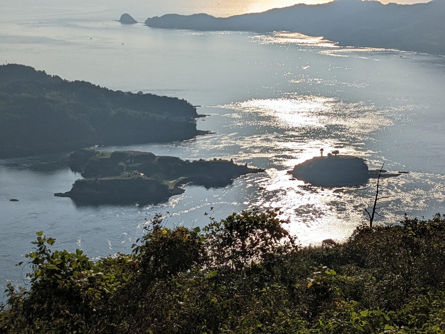 カレイ山↖️↗️念仏山 / テッツーさんの瀬戸内しまなみ海道（南エリア）の活動データ | YAMAP / ヤマップ