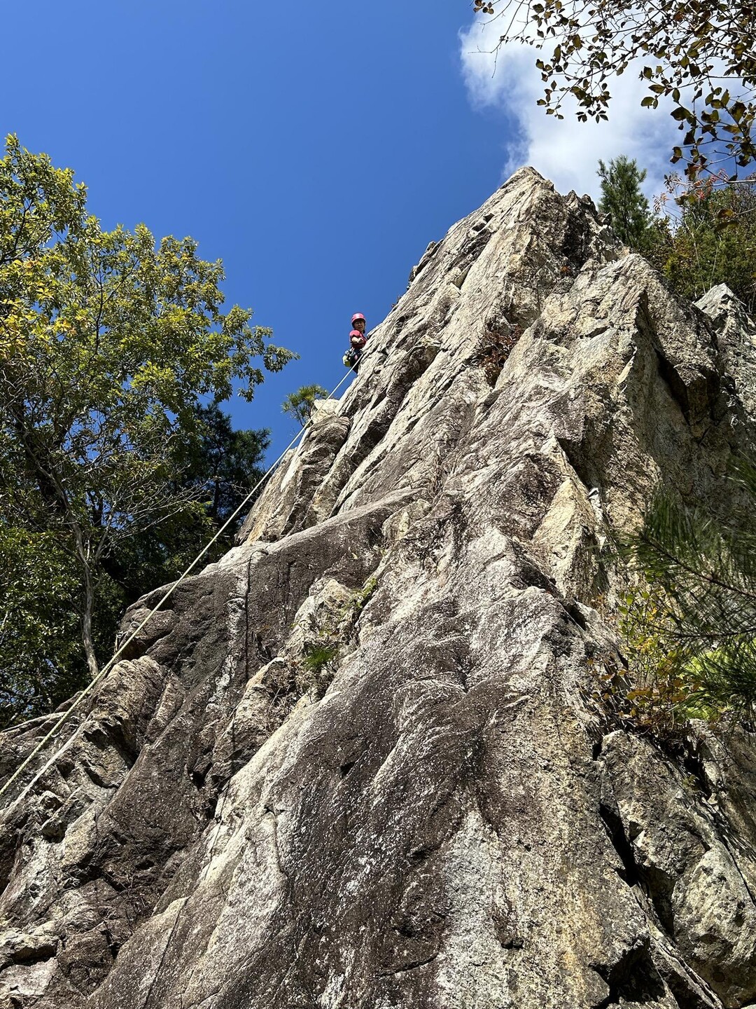 ﾎﾟｯｷｰclimbing北小松の岩場🧗2024-11-11 / ☆miko☆さんの比良山地・武奈ヶ岳・釈迦岳の活動データ | YAMAP / ヤマップ