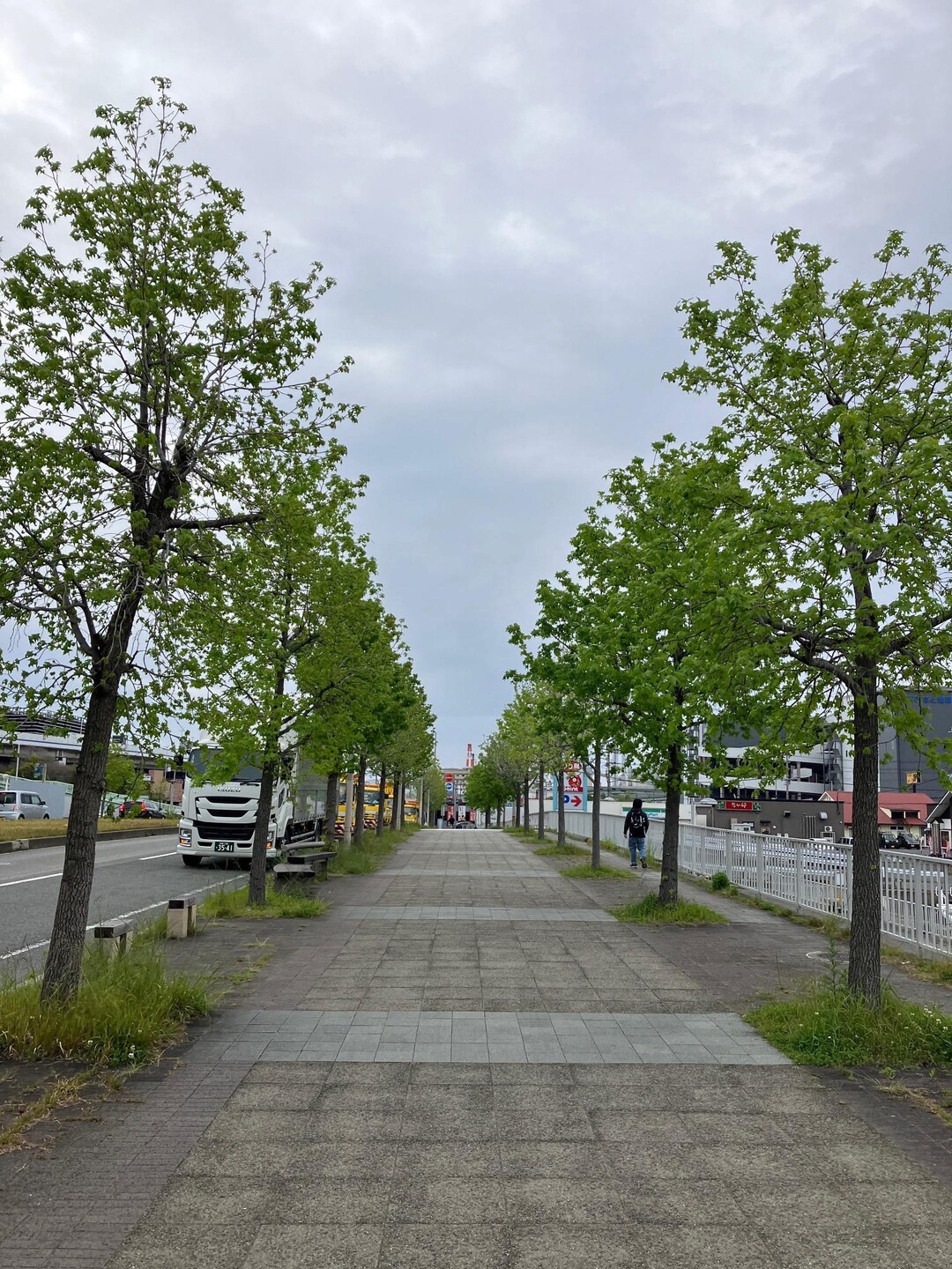 🚶‍♂️心地良い筋肉痛の中🚶‍♂️ / masさんのウォーキングの活動データ | YAMAP / ヤマップ