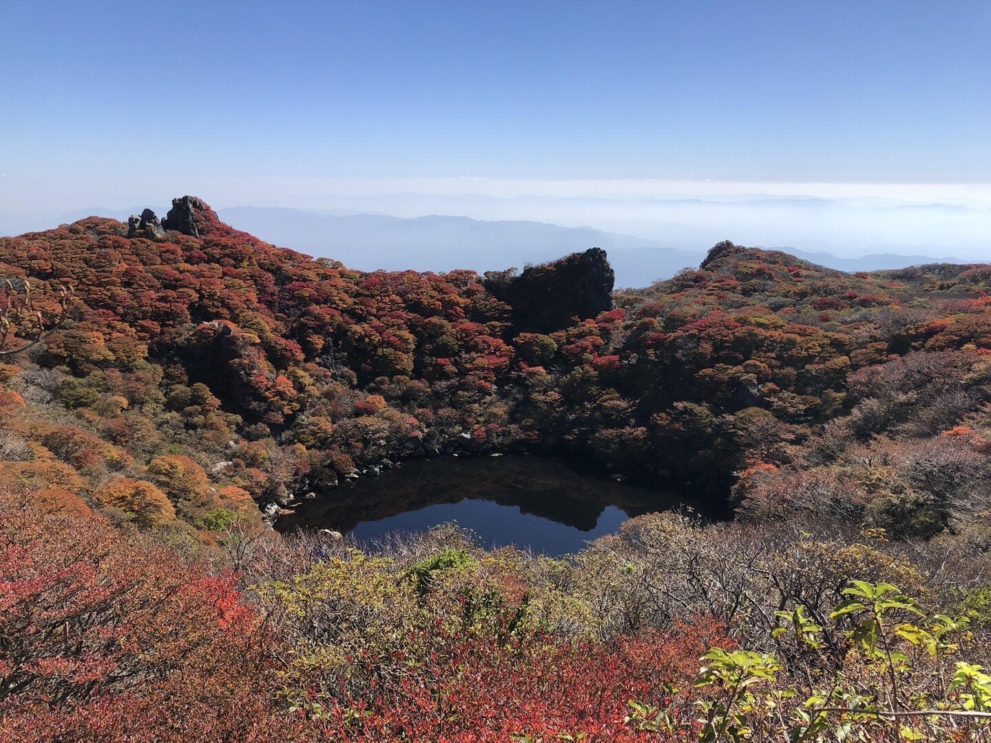 大船山・北大船山 / neko_deluxeさんの九重山（久住山）・大船山・星生山の活動データ | YAMAP / ヤマップ