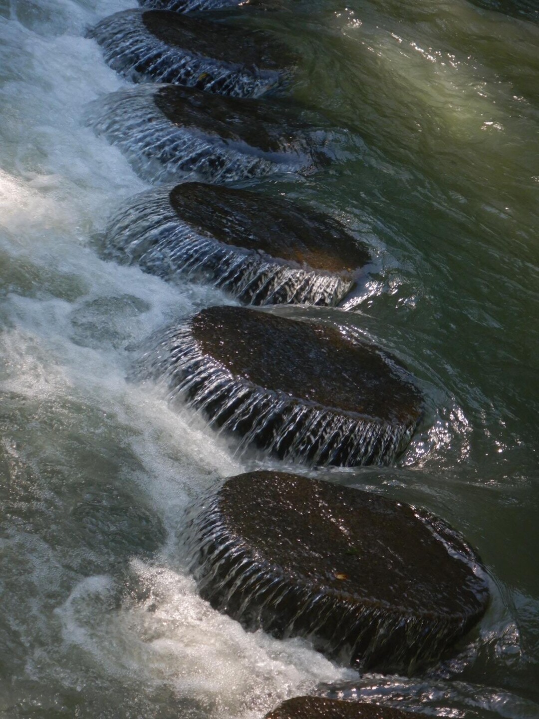 ken-3さんの投稿したフィールドメモ | YAMAP / ヤマップ