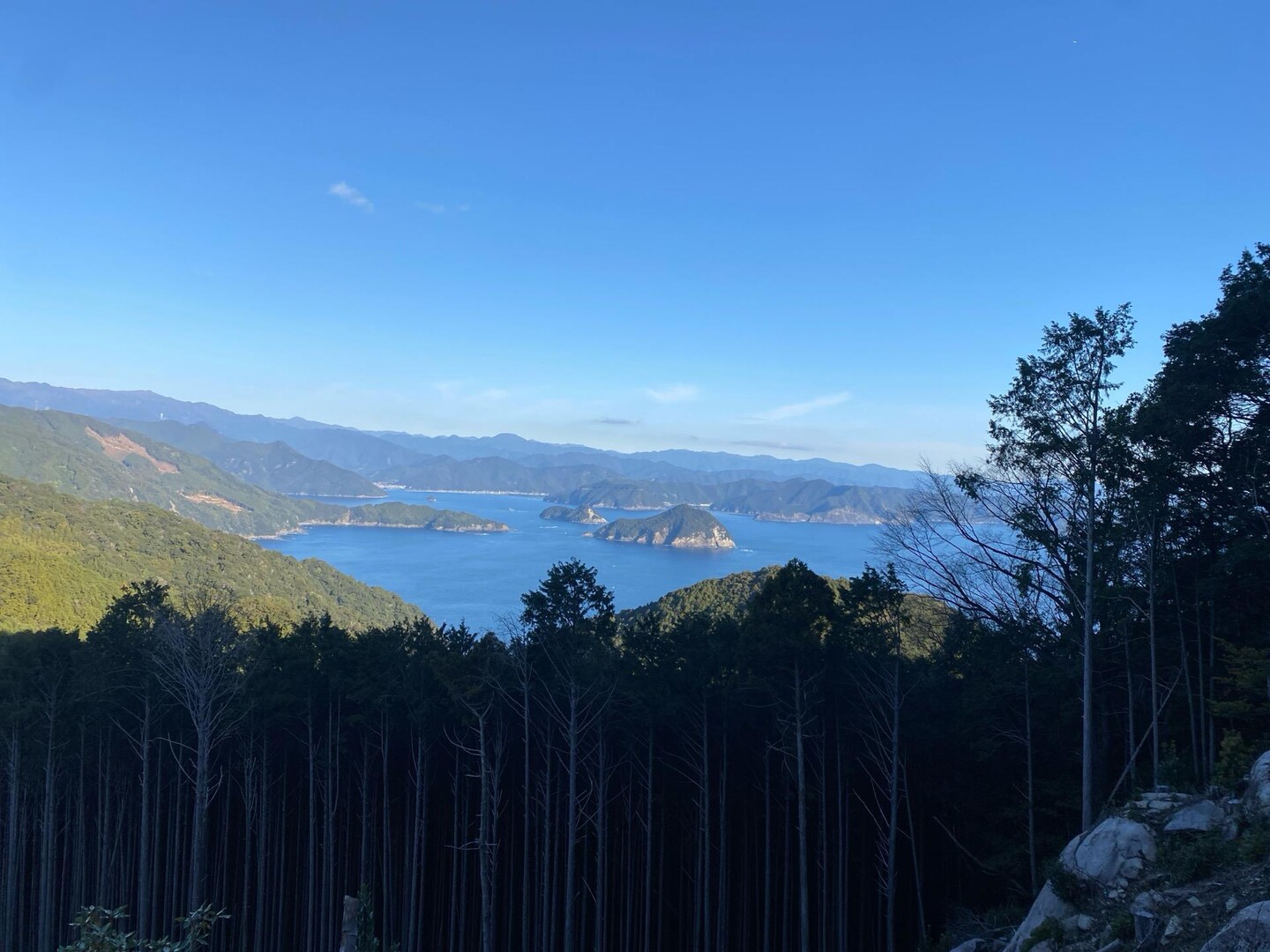 頂山 / みやみやさんの八鬼山・頂山・オハイの活動日記 | YAMAP / ヤマップ
