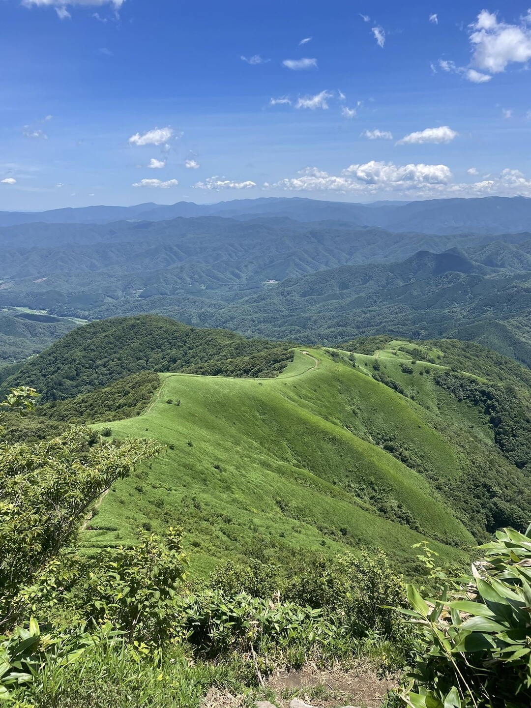 下蒜山 / saさんの蒜山の活動データ | YAMAP / ヤマップ