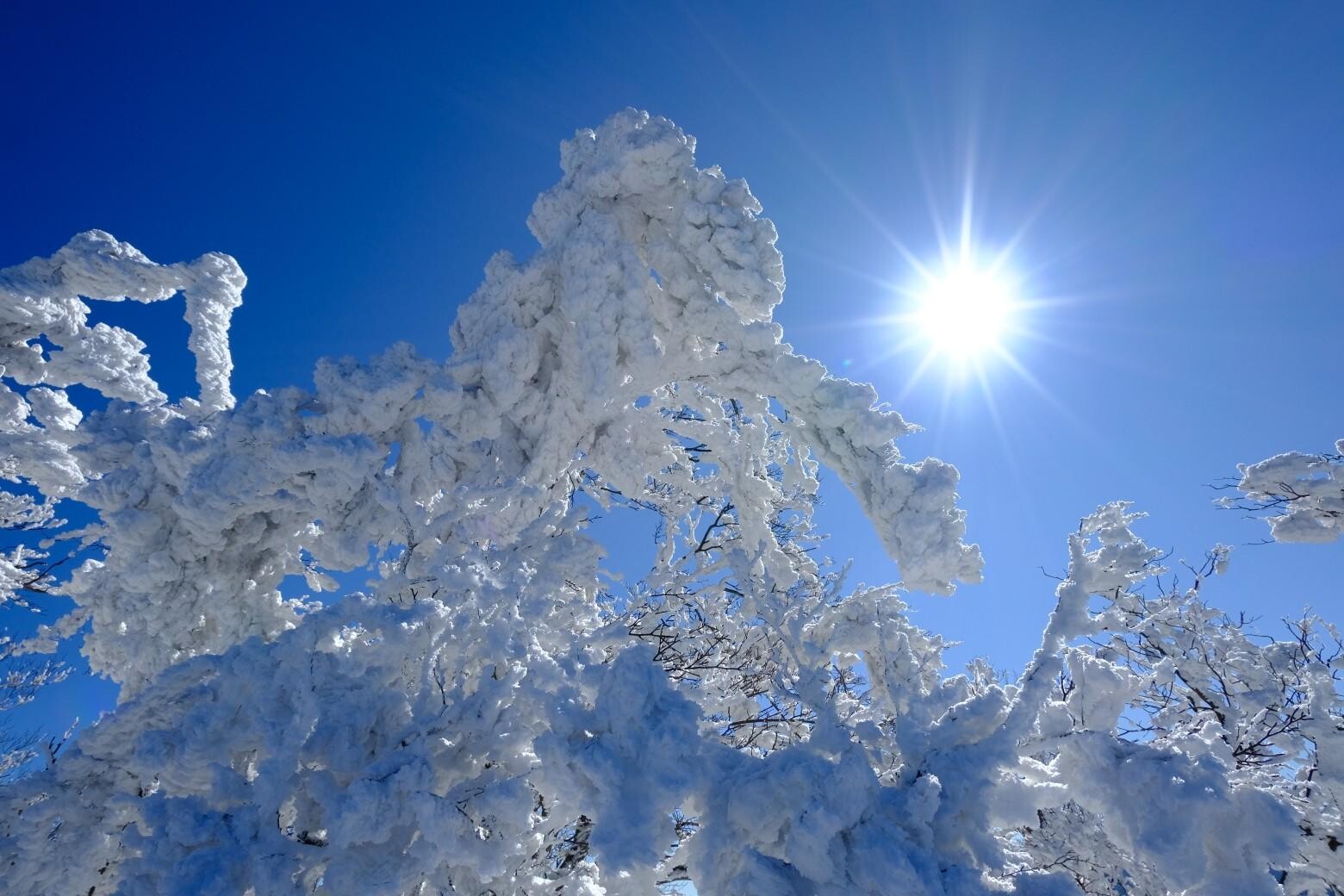 高見山2025 / maiさんの高見山・黒石山・天狗山の活動データ | YAMAP / ヤマップ