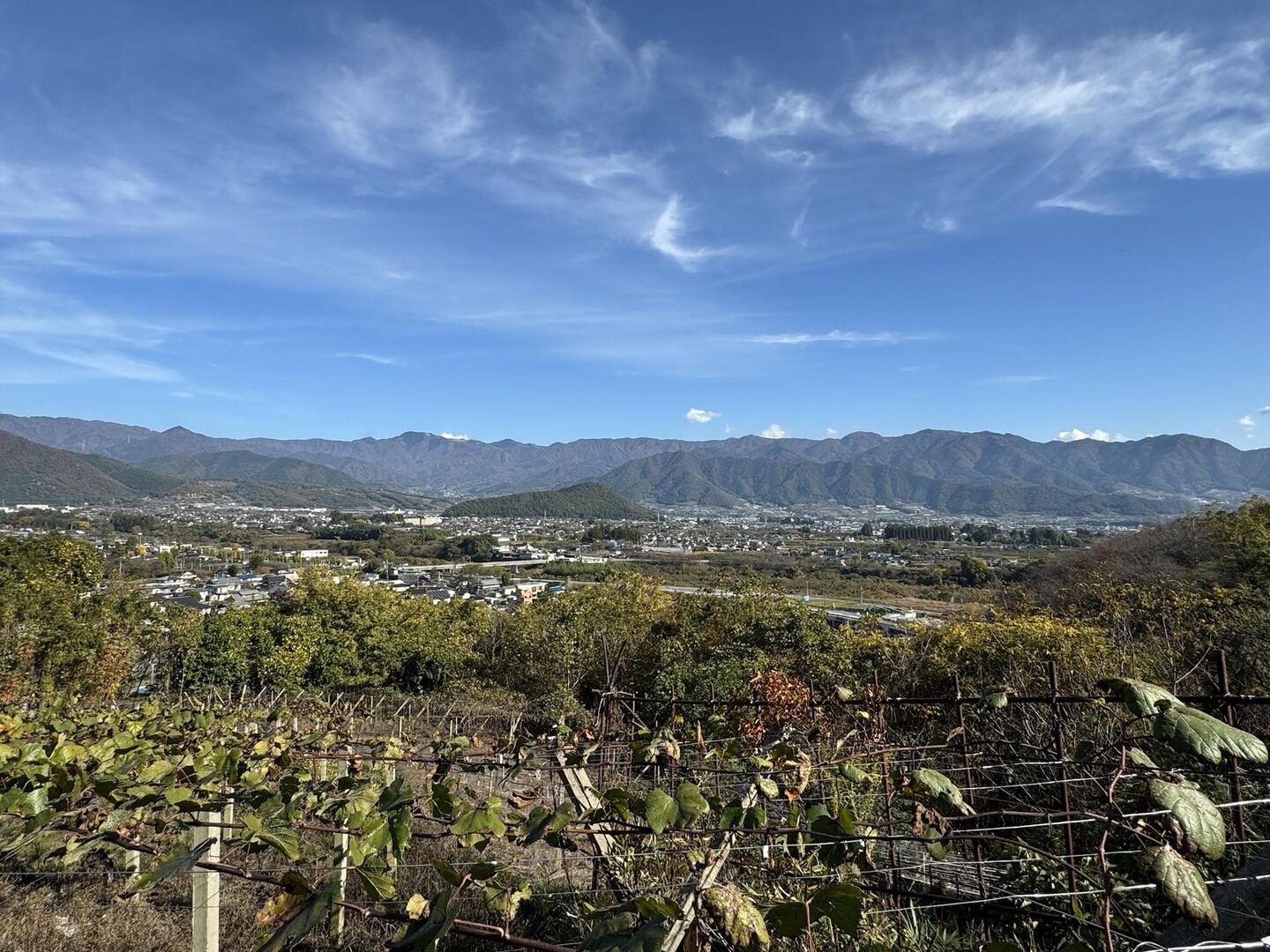 山梨県ではしごピークハント🚗③荒神山 / MAYUMIさんの塩ノ山の活動データ | YAMAP / ヤマップ