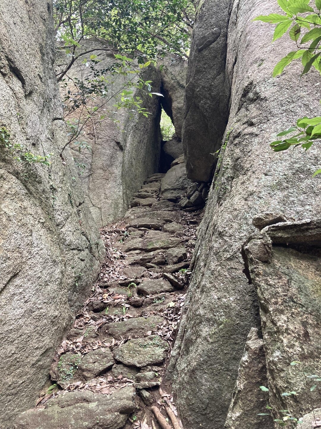 梟ヶ城址展望台・天下峯 / J Smileさんの六所山・炮烙山の活動データ | YAMAP / ヤマップ