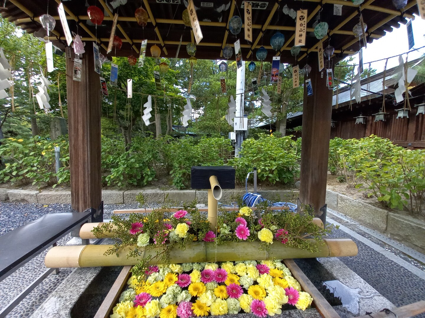 早朝参拝。今週もありがとうございました。... / d.hiroshiさんのモーメント | YAMAP / ヤマップ