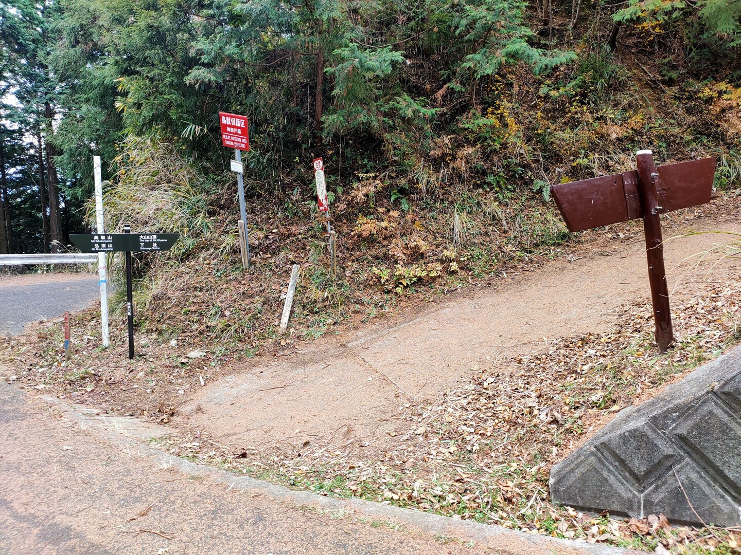 Mamincoさんの投稿したフィールドメモ | YAMAP / ヤマップ