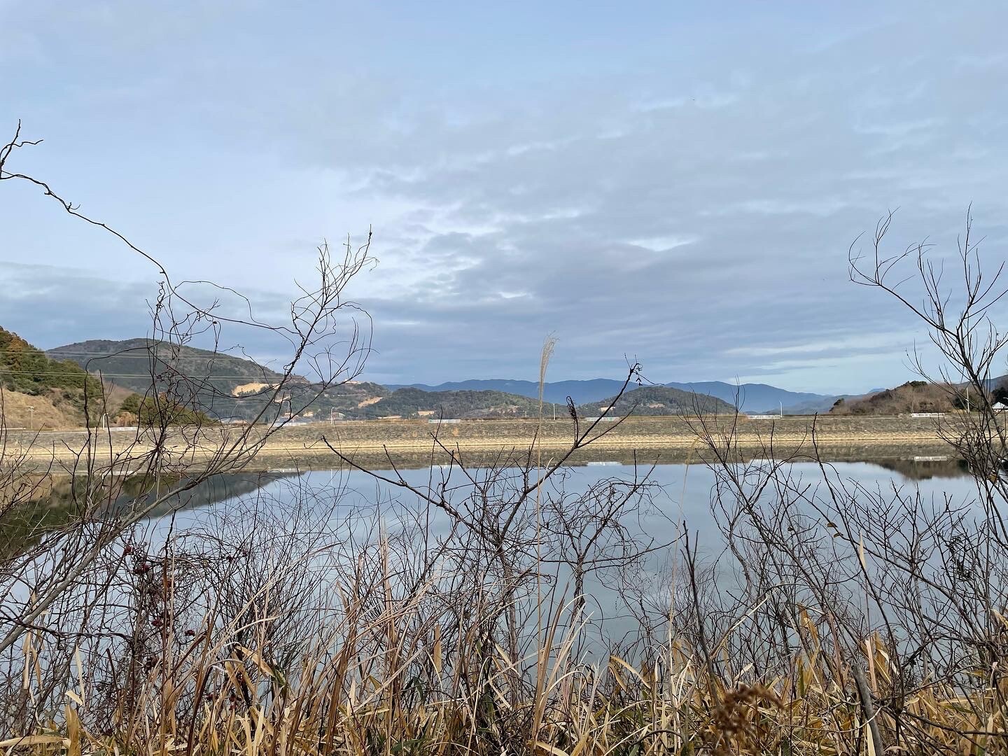 遅ればせながら😅 やはり遅かったけど、... / macoさんのモーメント | YAMAP / ヤマップ