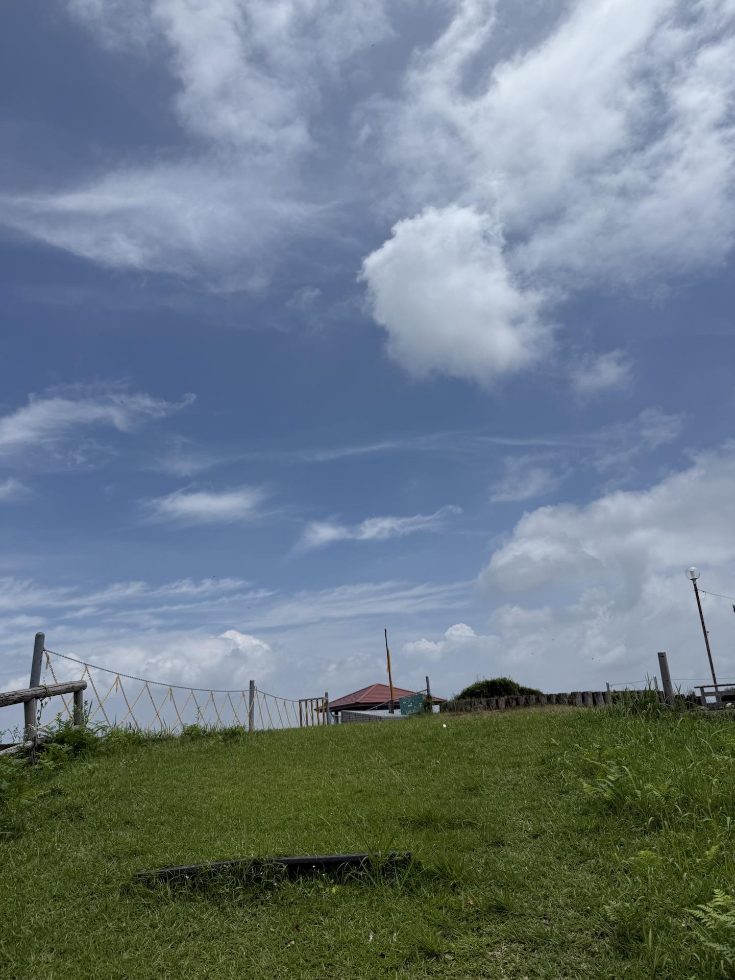 2025年金御岳トレーニング93回目 / cocoさんの金御岳の活動データ | YAMAP / ヤマップ