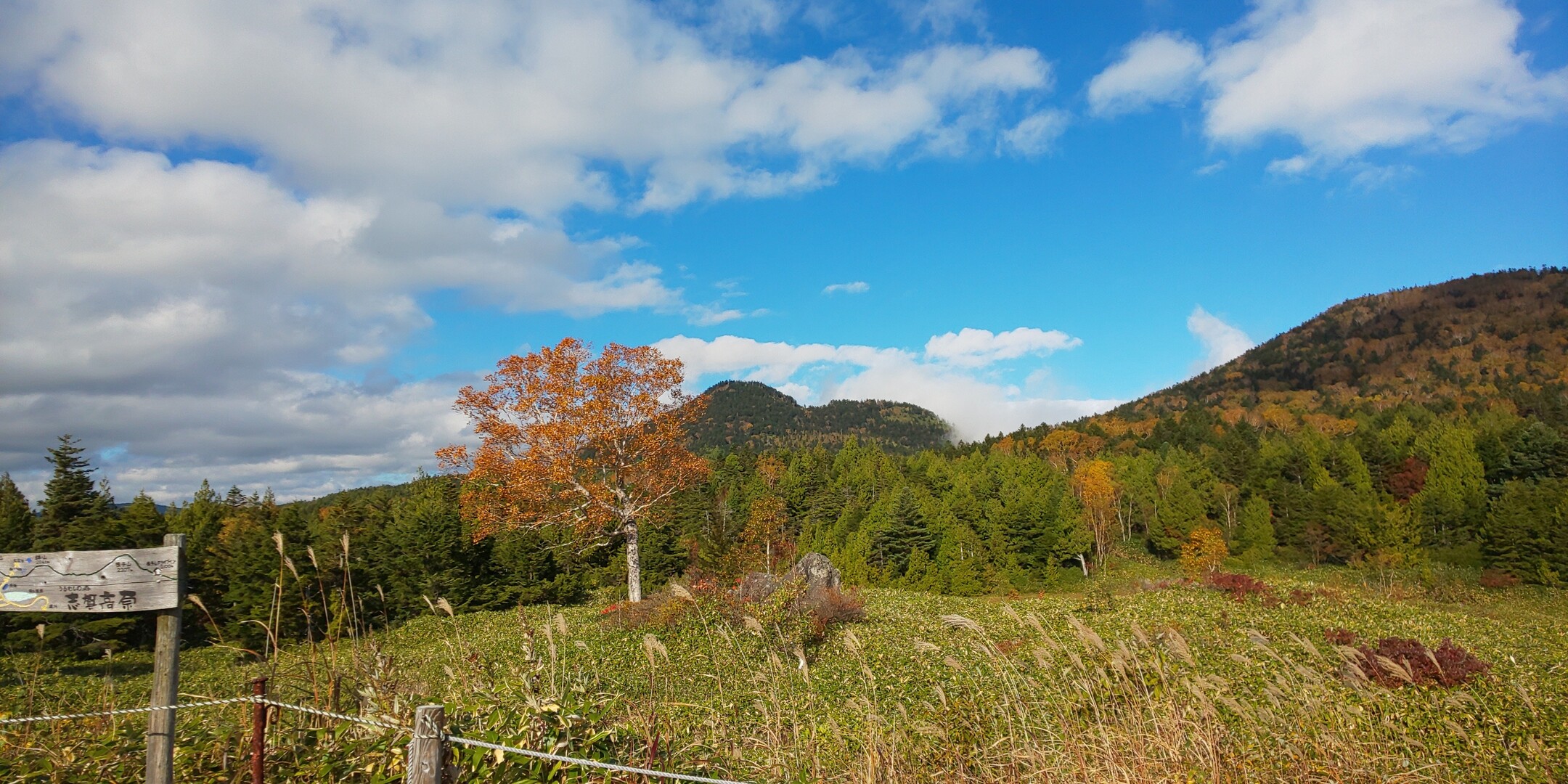 志賀山・裏志賀山 2021-10-10 / G-DRAGONさんの横手山・志賀山・赤石山の活動データ | YAMAP / ヤマップ