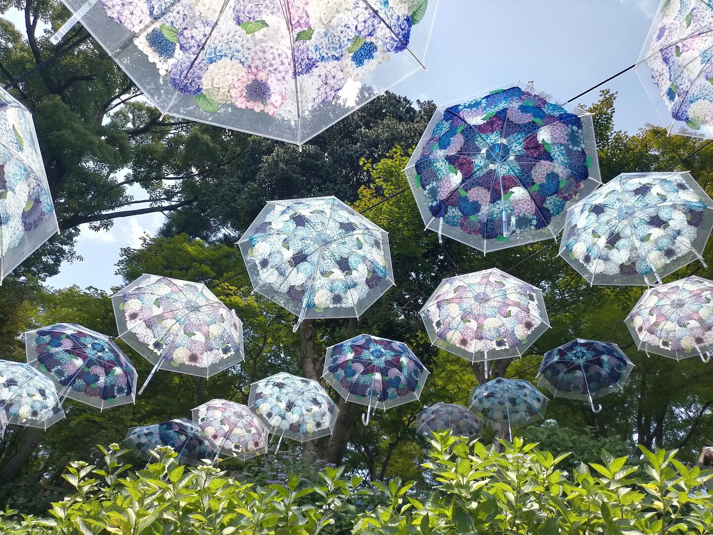 楊谷寺 柳谷観音 / fukoさんのポンポン山・釈迦岳・小塩山・若山の活動データ | YAMAP / ヤマップ