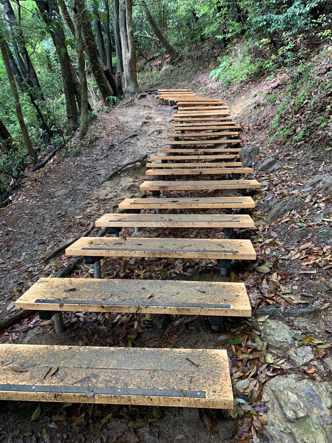 高尾山 / BUNさんの高尾山・陣馬山・景信山の活動データ | YAMAP / ヤマップ