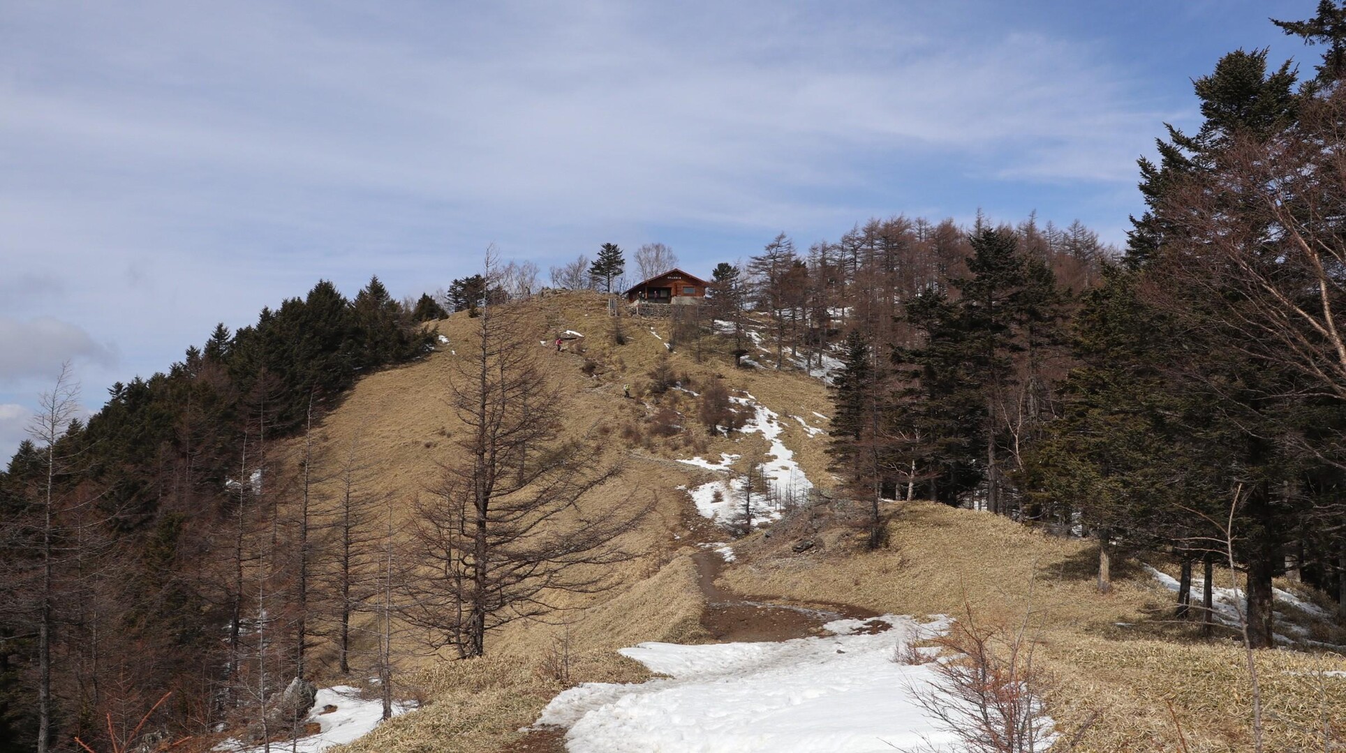 雲取山 / TMKGさんの雲取山・鷹ノ巣山・七ツ石山の活動データ | YAMAP / ヤマップ
