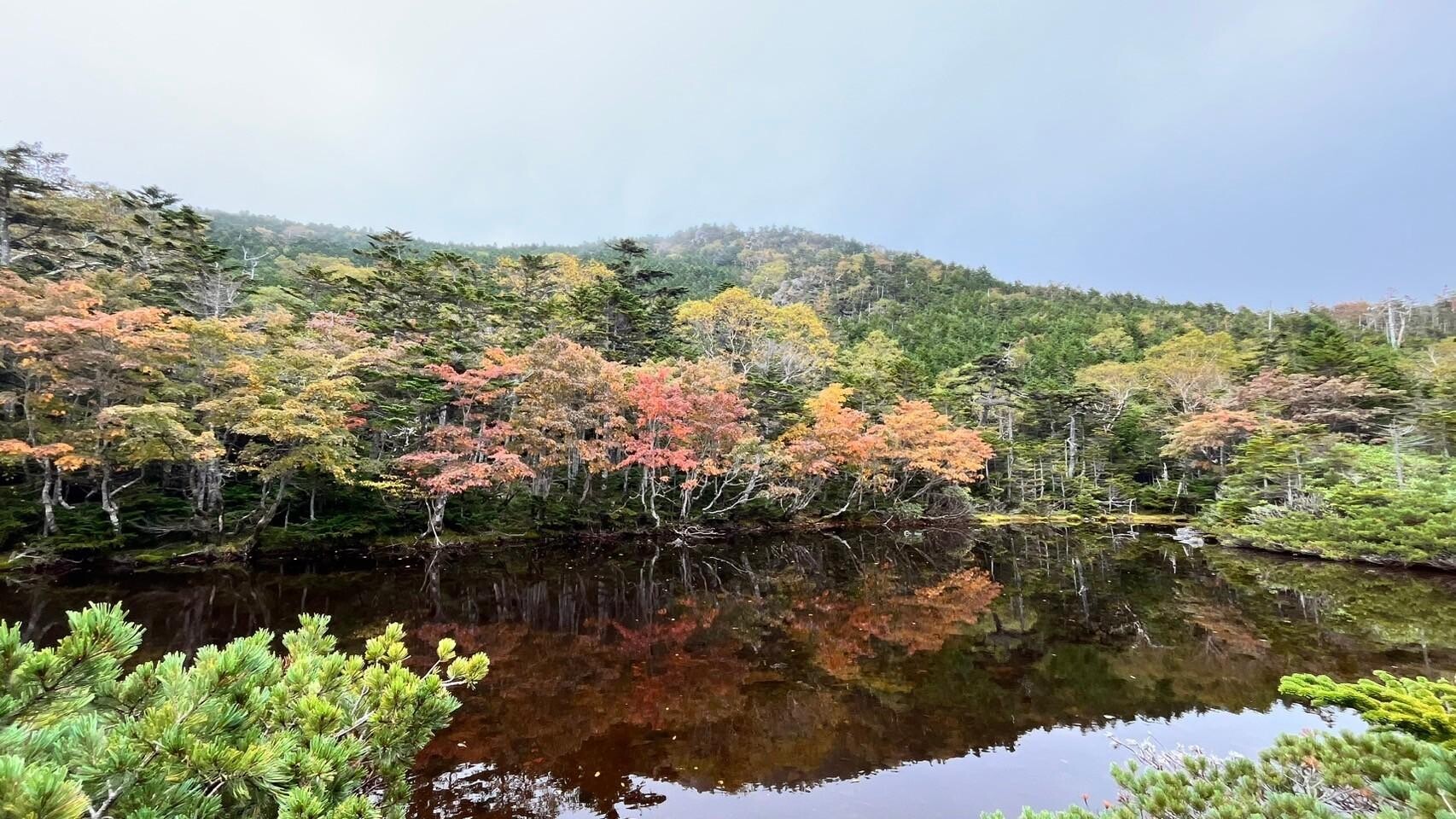 北横岳 / cozさんの蓼科山・横岳・縞枯山の活動データ | YAMAP / ヤマップ