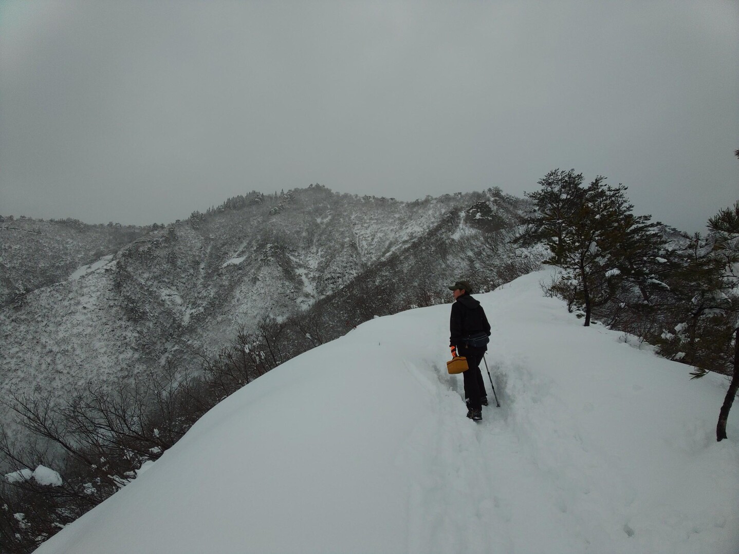 坂戸山 / daitenさんの坂戸山の活動データ | YAMAP / ヤマップ