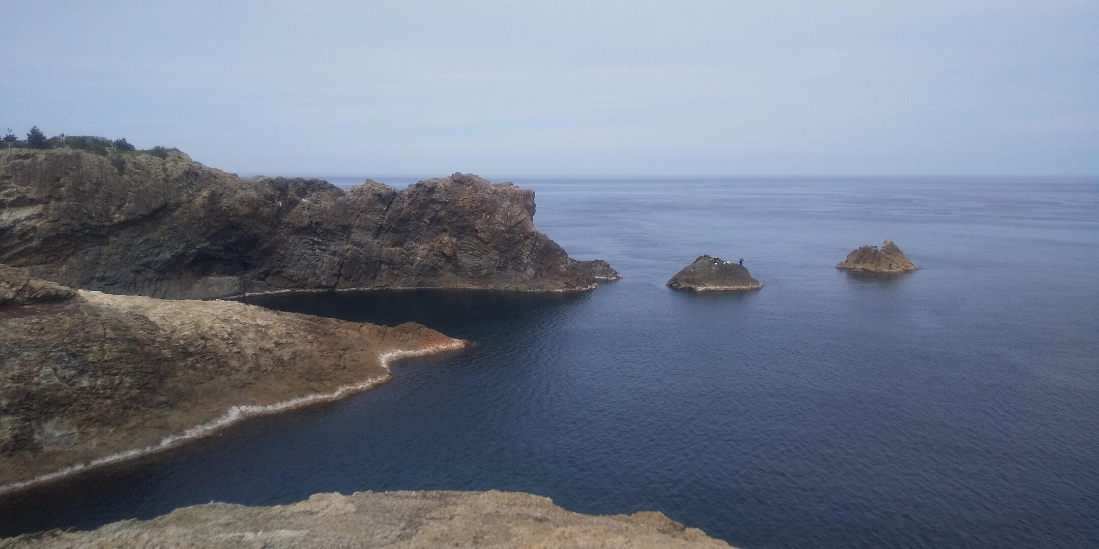 桁掛半島 / Caddさんの鼻高山・弥山・旅伏山の活動データ | YAMAP / ヤマップ