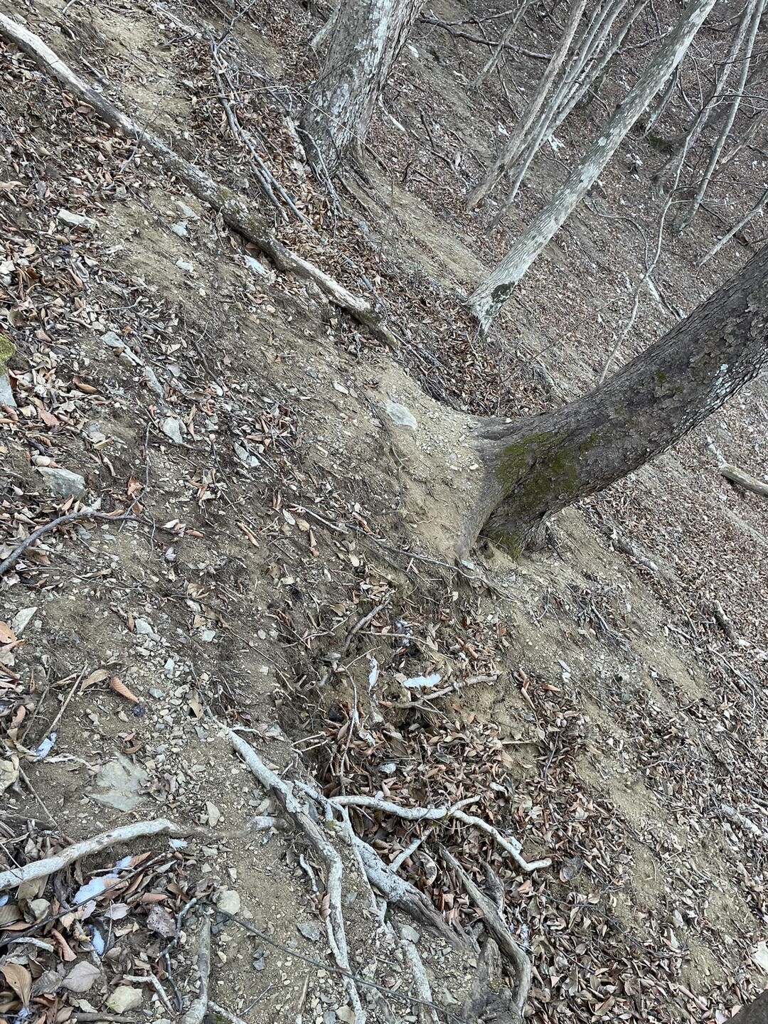 daiさんの投稿したフィールドメモ | YAMAP / ヤマップ