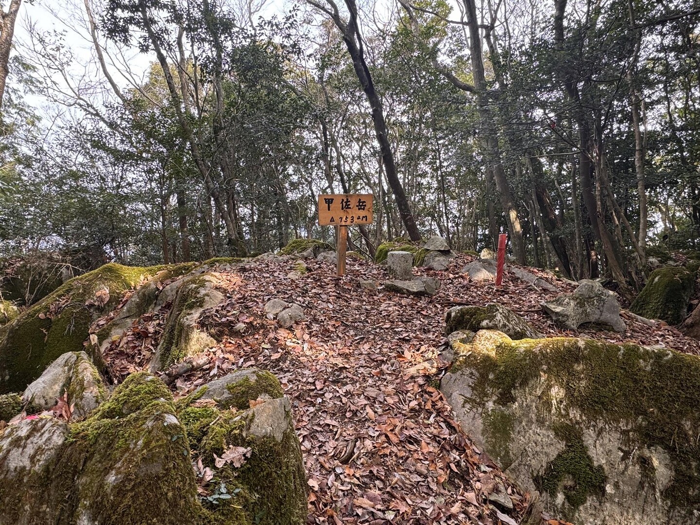 甲佐岳 / mineさんの甲佐岳の活動データ | YAMAP / ヤマップ