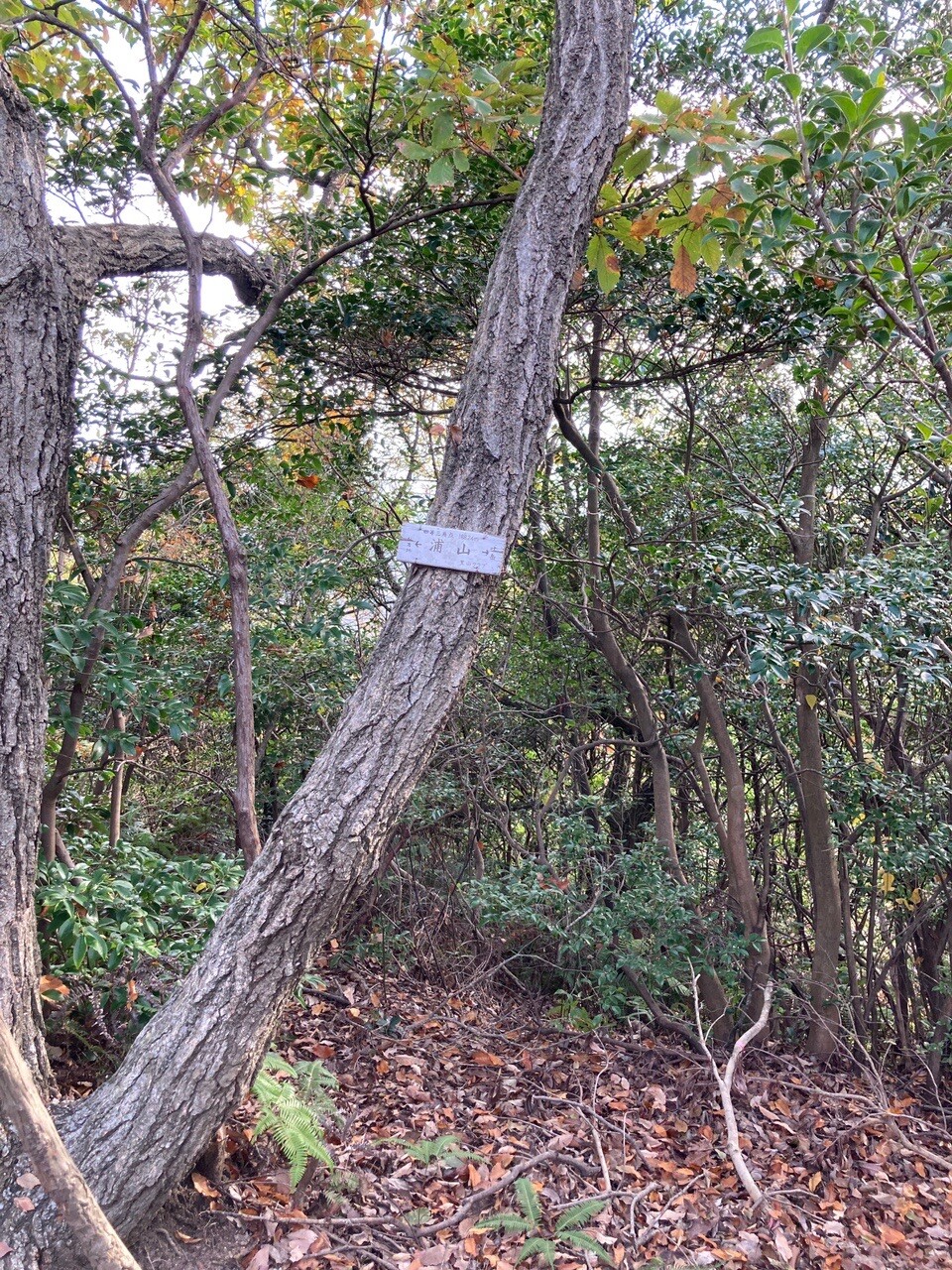 hiyoさんの投稿したフィールドメモ | YAMAP / ヤマップ