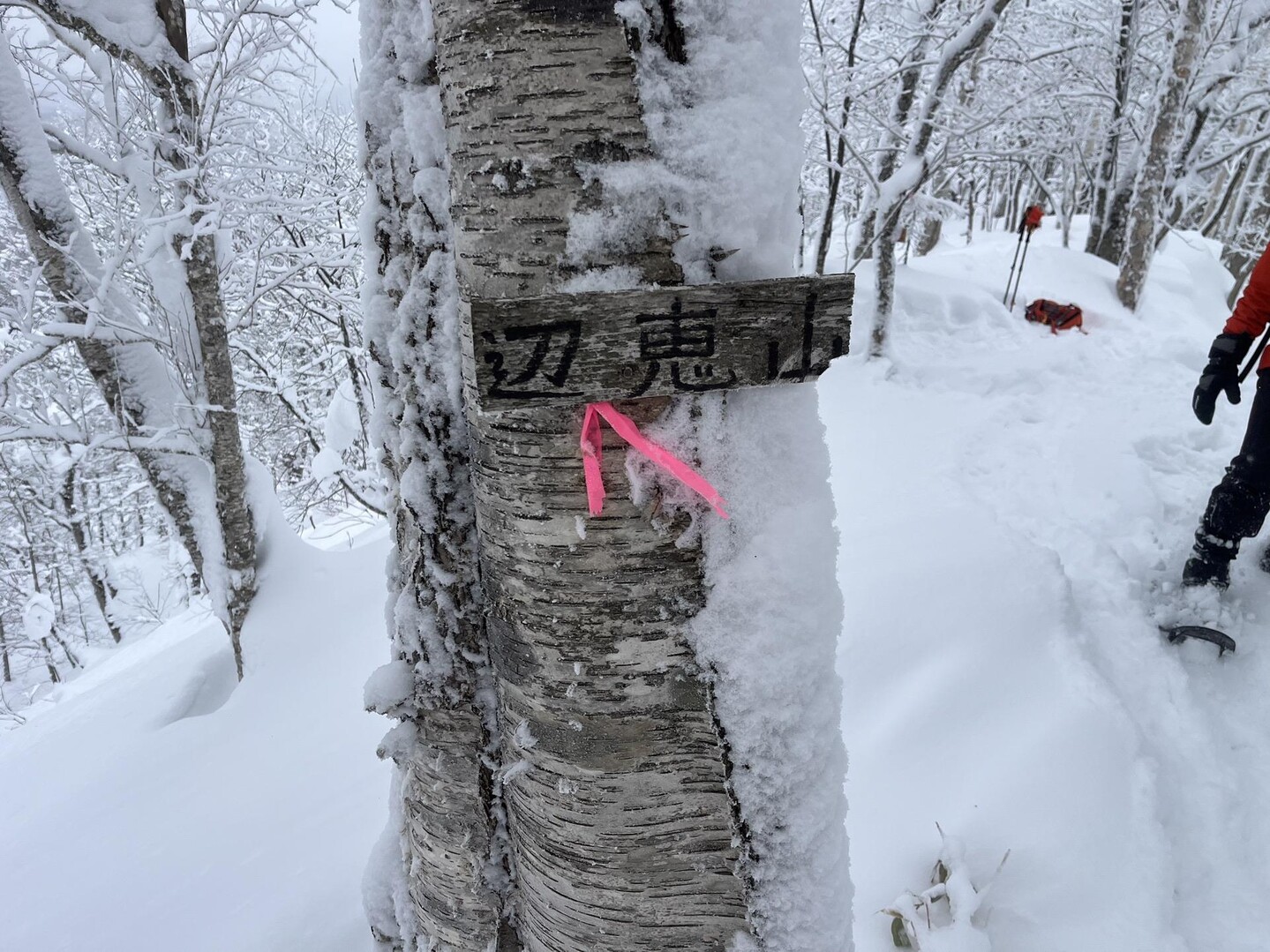 来たことあったっけ？辺恵山 / tar_cyさんの突角山の活動データ | YAMAP / ヤマップ