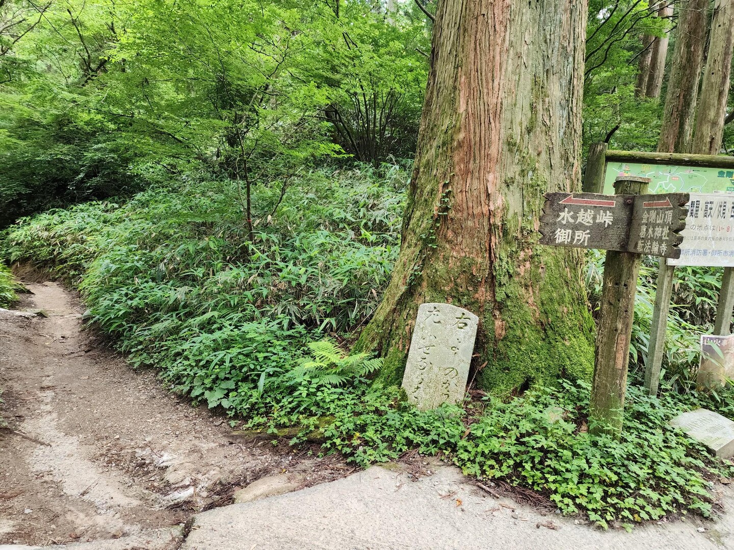 Kohjiさんの投稿したフィールドメモ | YAMAP / ヤマップ