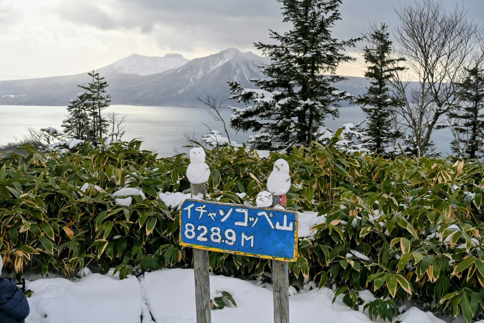 イチャンコッペ山 / Chicoryさんのイチャンコッペ山の活動データ | YAMAP / ヤマップ