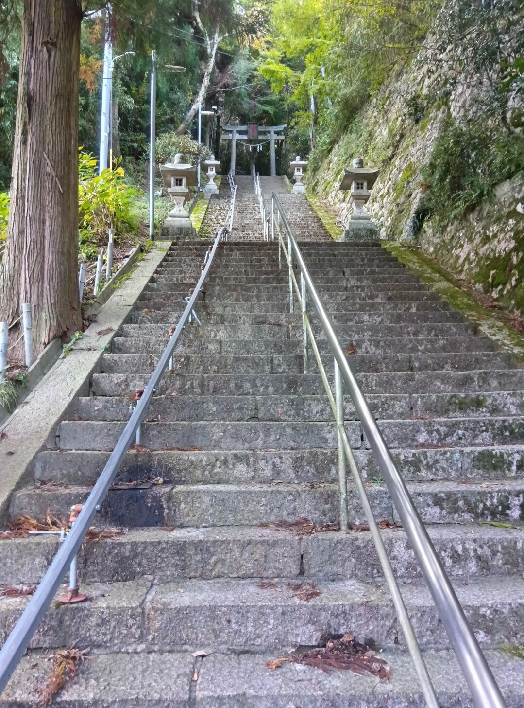 ヤマヒロ1215さんの投稿したフィールドメモ | YAMAP / ヤマップ