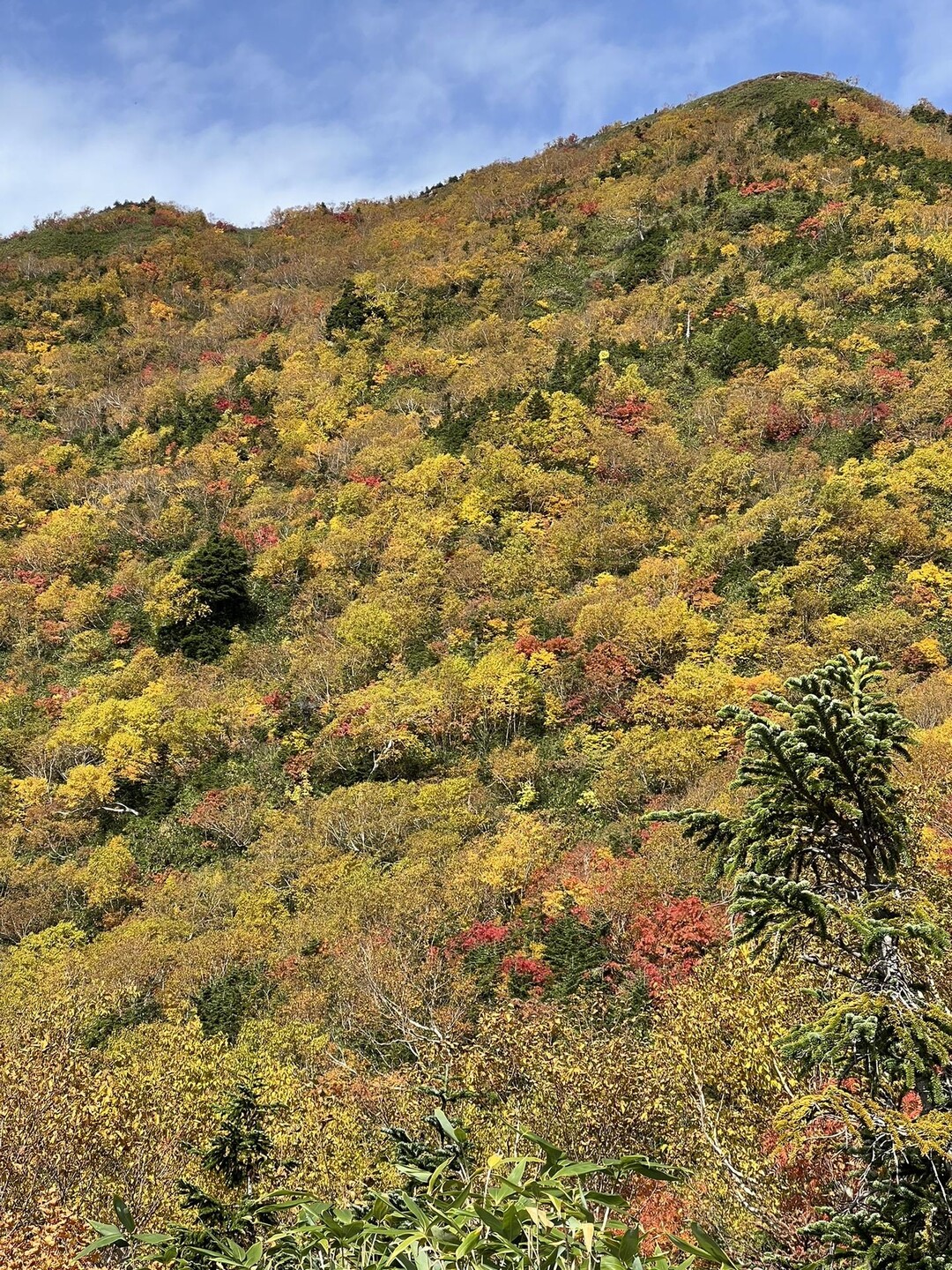 久しぶりの登山⛰️紅葉真っ只中 / sasaさんの剱岳の活動データ | YAMAP / ヤマップ
