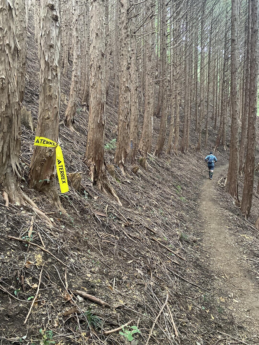 Funtrails Round 奥武蔵&秩父 100K (DNF) / Jay Kさんの武甲山・伊豆ヶ岳・小持山の活動データ | YAMAP / ヤマップ