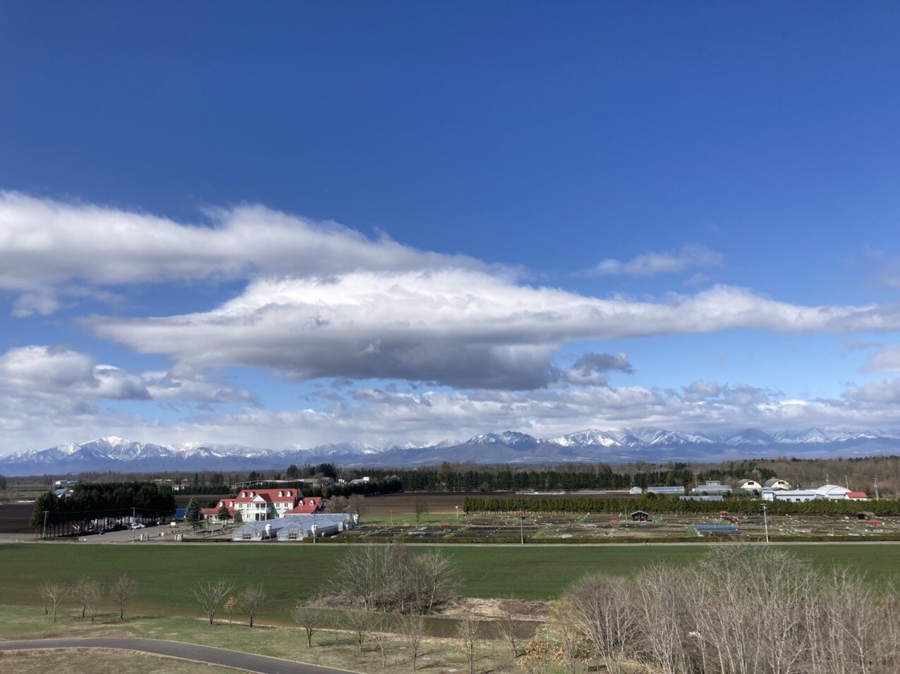 もりの山〜つつじが丘-2021-05-04 / Masakoさんのウォーキングの活動データ | YAMAP / ヤマップ