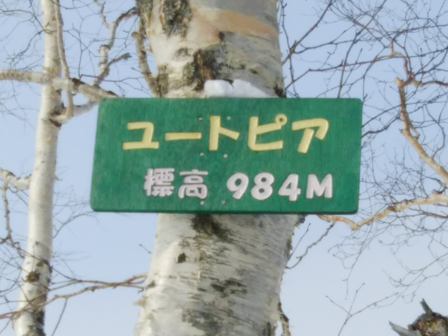奥手稲山・サンデーユートピア・ユートピア・つげ山 / kami415さんの手稲山・奥手稲山の活動データ | YAMAP / ヤマップ