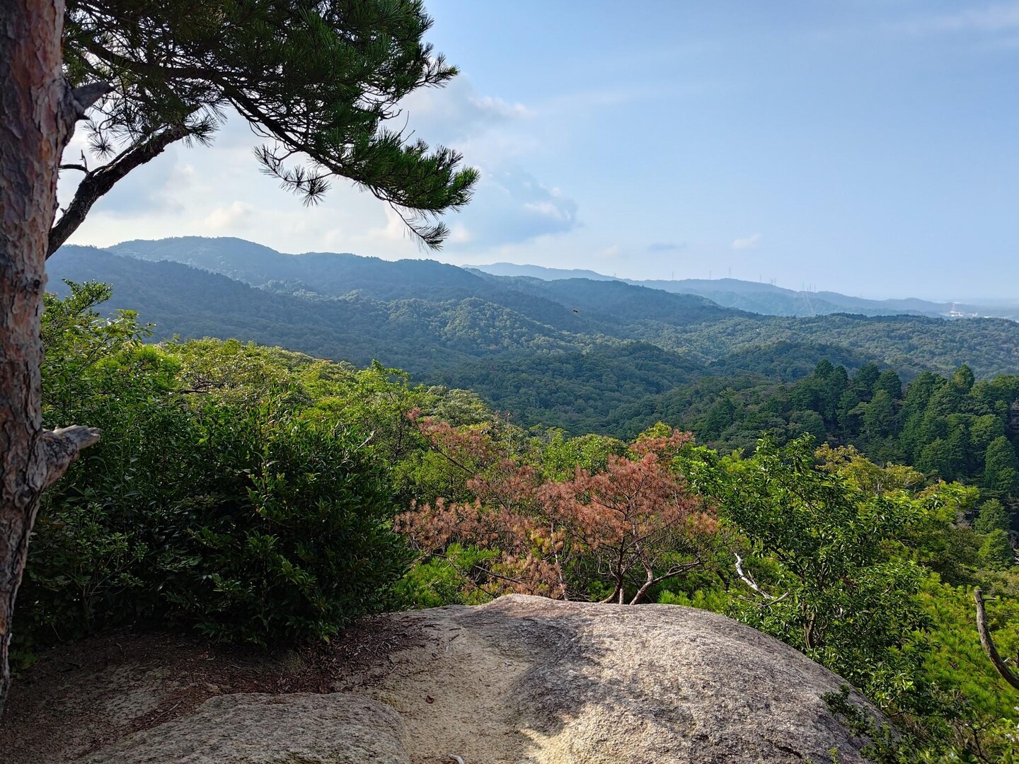 元岩巣山・岩巣山 / dk0711さんの岩巣山・三国山・折平山の活動日記 | YAMAP / ヤマップ