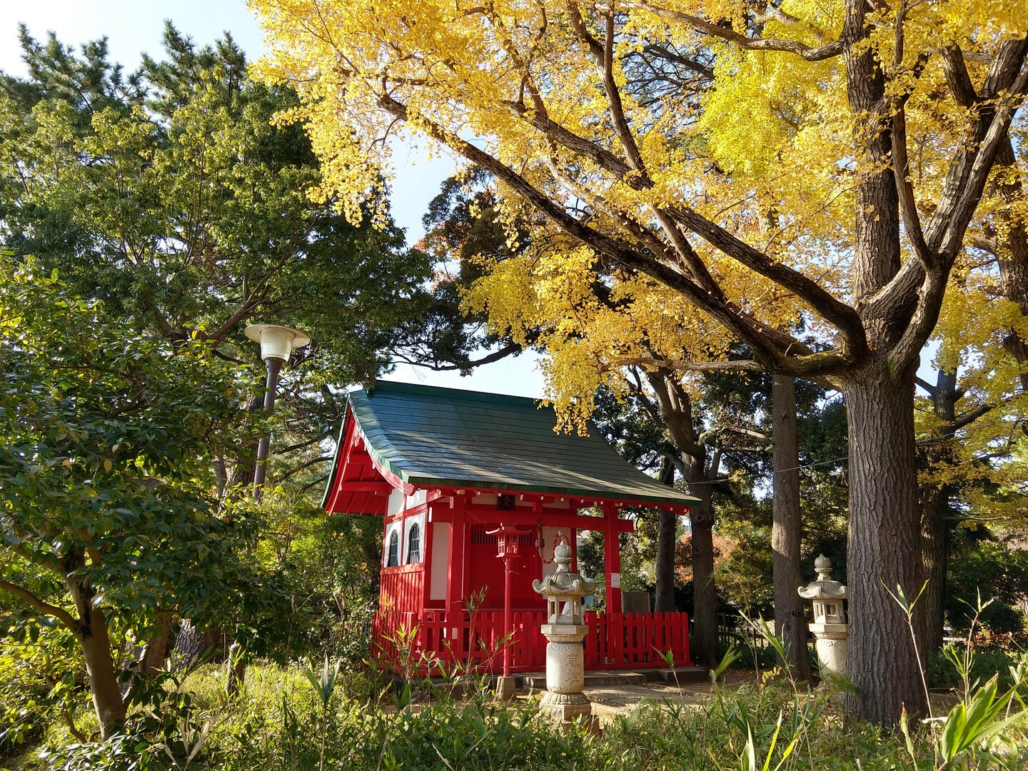 東京都23区 南エリア 洗足池-2020-11-15 / ホッチーヨッシーさんの東京都23区 南エリアの活動データ | YAMAP / ヤマップ