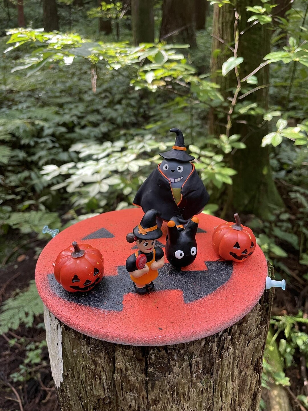 弥彦山 / youさんの弥彦山・多宝山・雨乞山の活動データ | YAMAP / ヤマップ