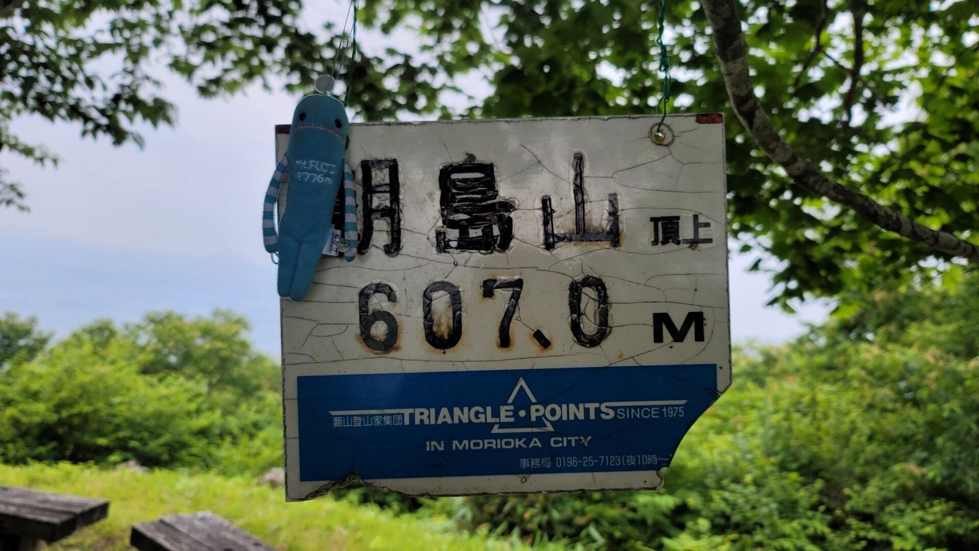 7.5 朝島山 / koke🌿さんの黒森山・朝島山の活動データ | YAMAP / ヤマップ