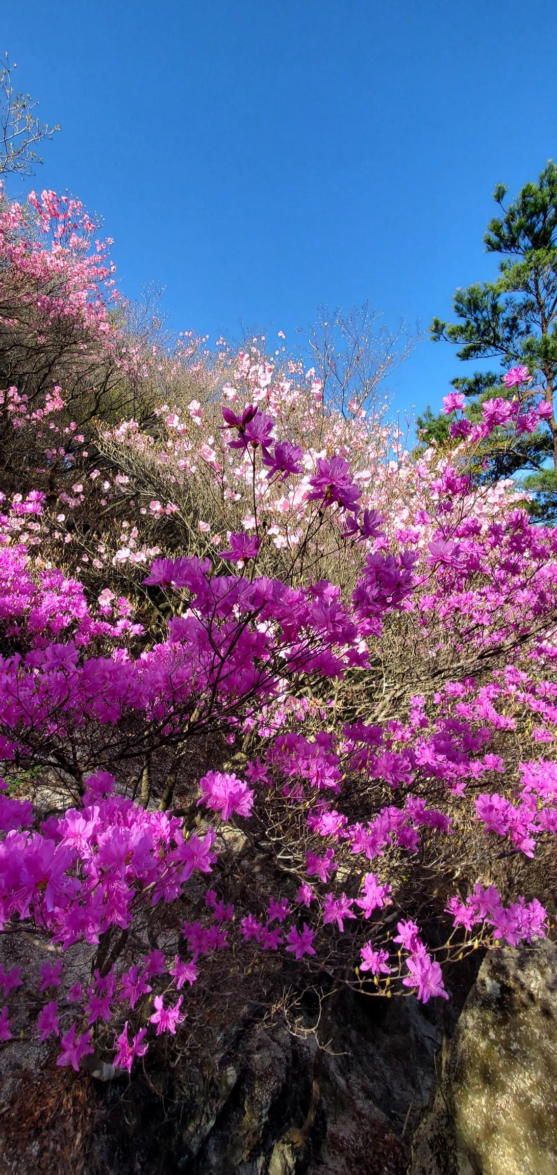 釈迦~三池岳 楽しかった〜。 htt... / たみこさんのモーメント | YAMAP / ヤマップ