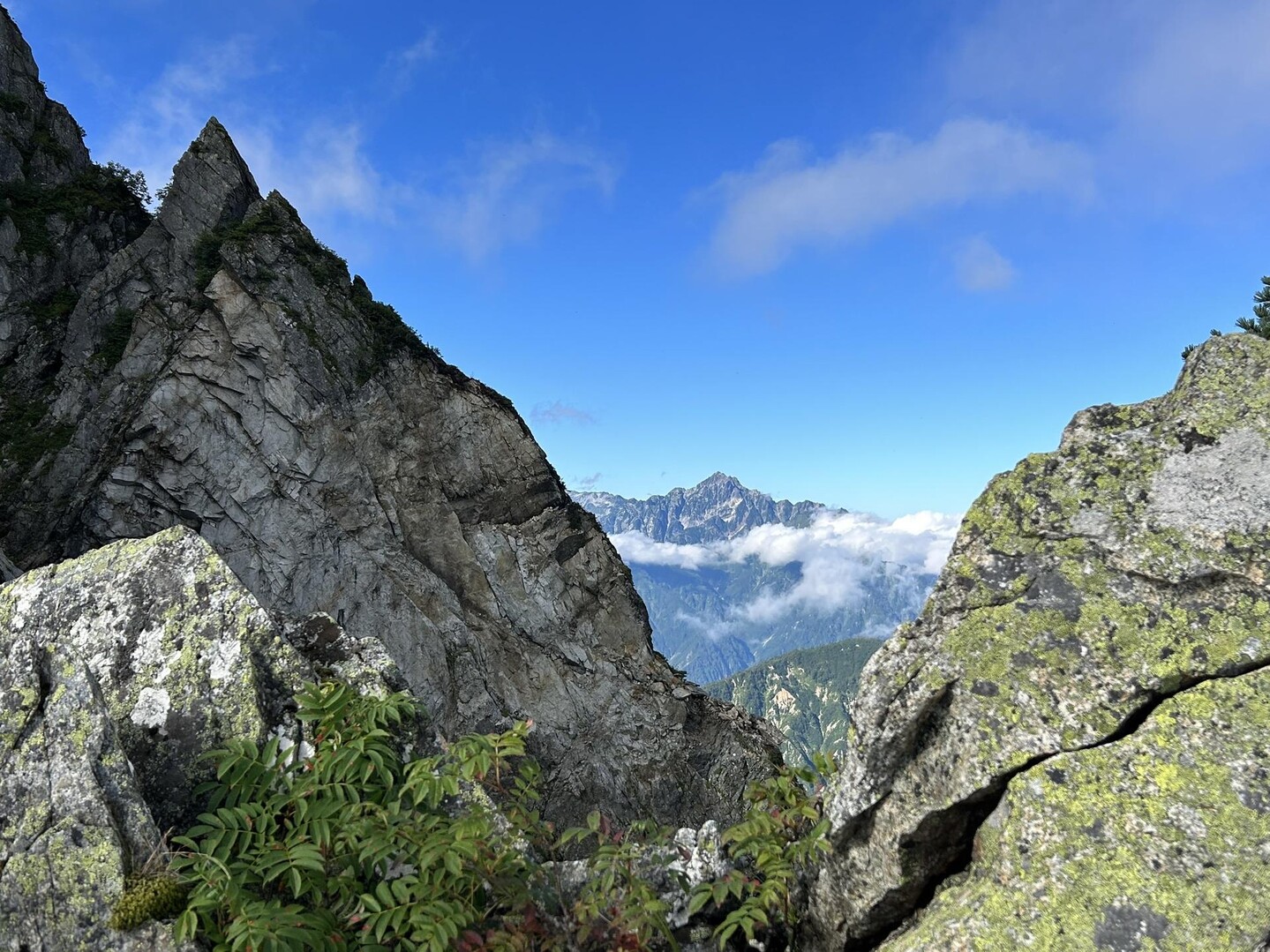 唐松岳・不帰嶮・激登りの天狗の大下り🥵白馬三山 / nanaさんの白馬岳・小蓮華山の活動データ | YAMAP / ヤマップ